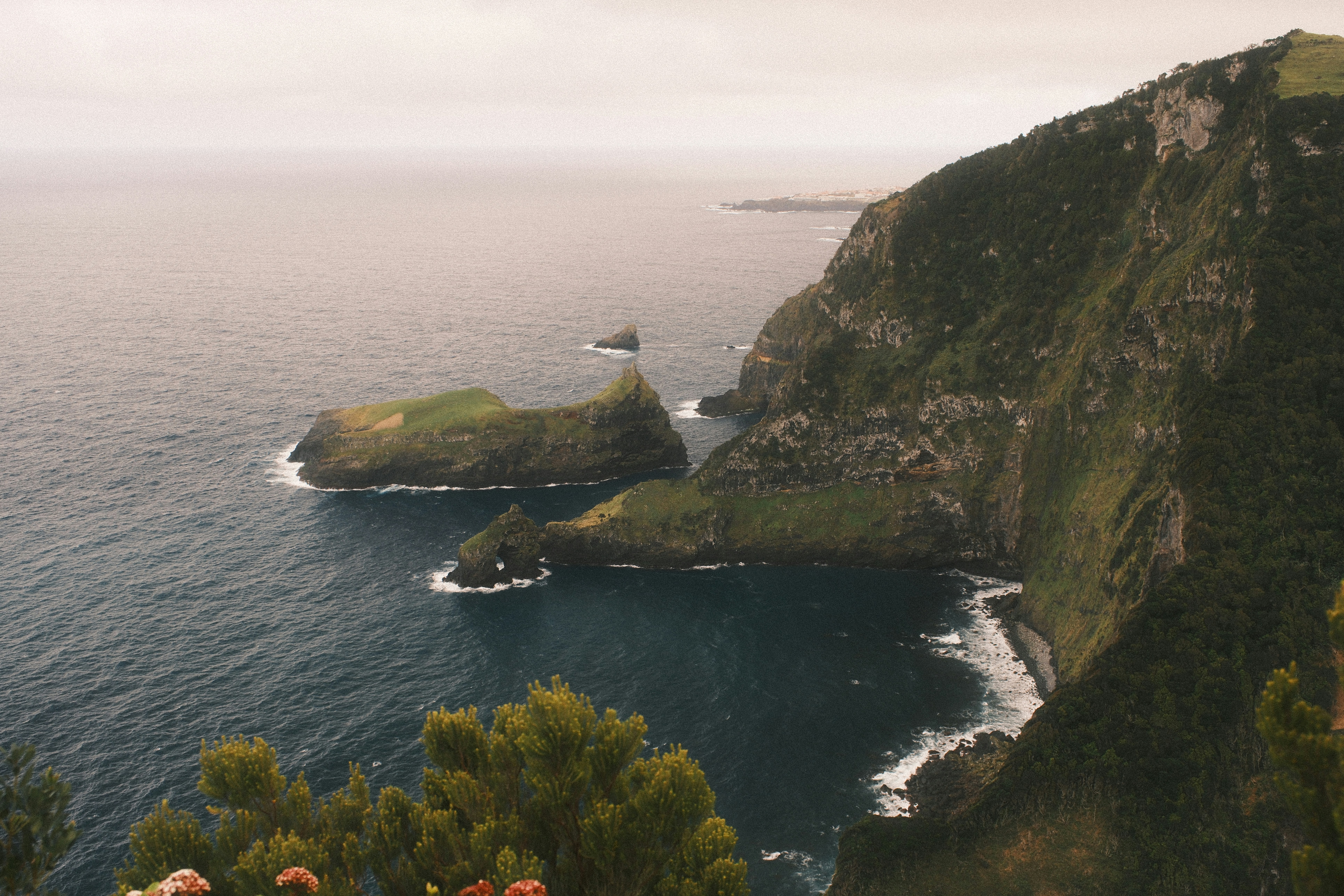 Cliffside Cove: Sunlit Green Cliffs Guarding the Quiet Cove