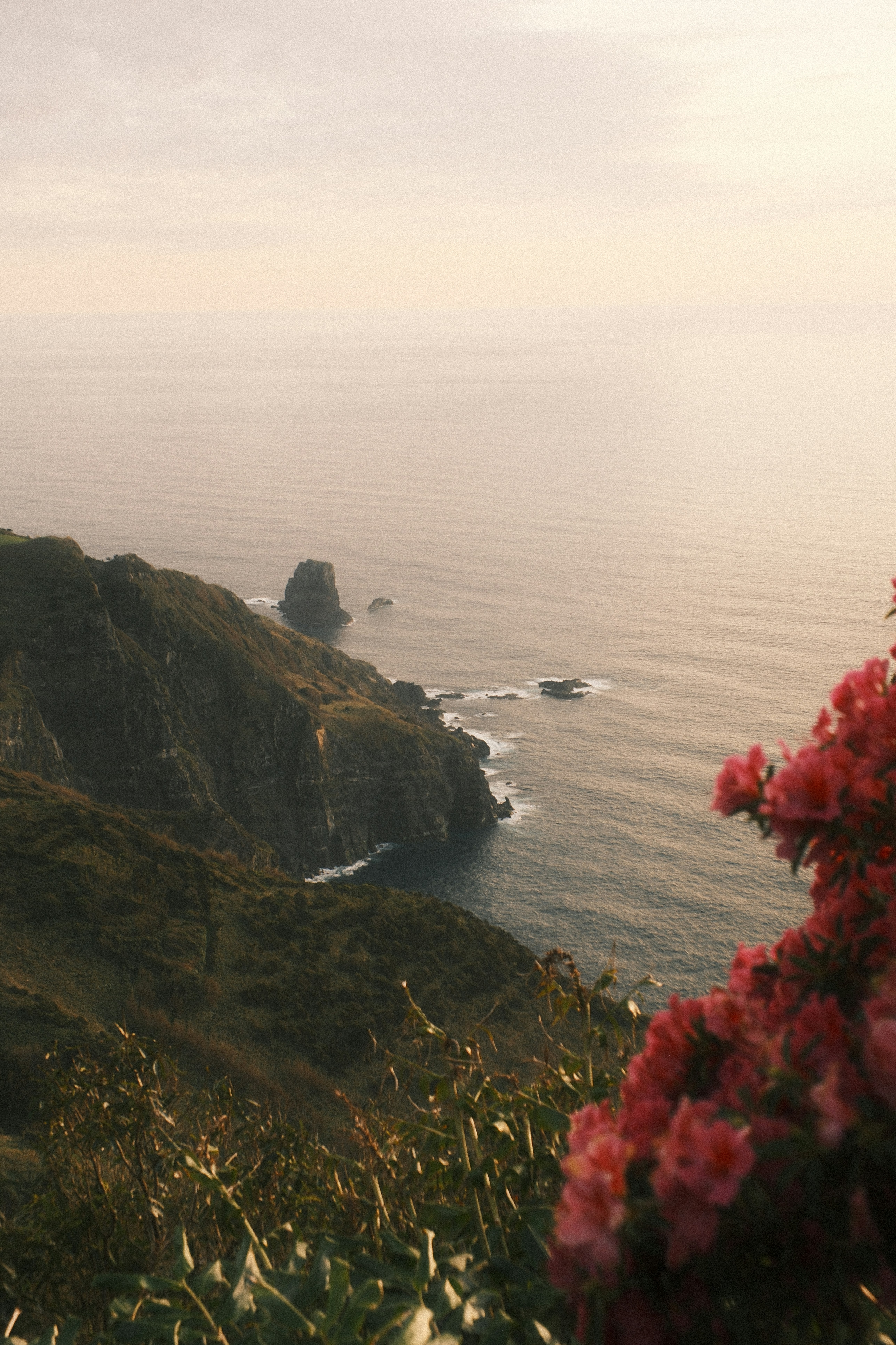Cliffside Garden in Warm Evening Light
