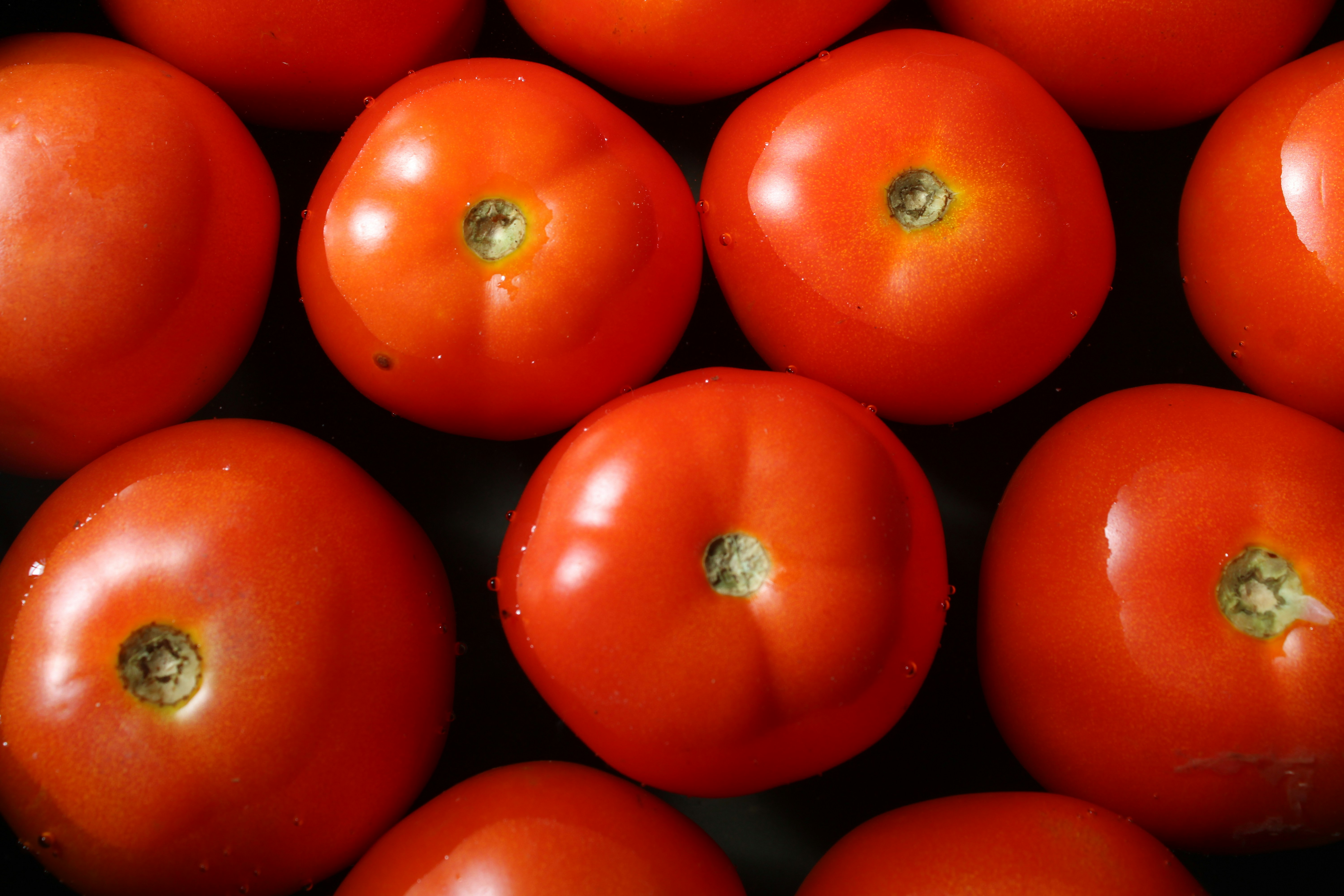 Bright red tomatoes fill the frame in a tight, evenly spaced arrangement. The image emphasizes glossy skin and uniform round shapes, suggesting a product or market display focus.