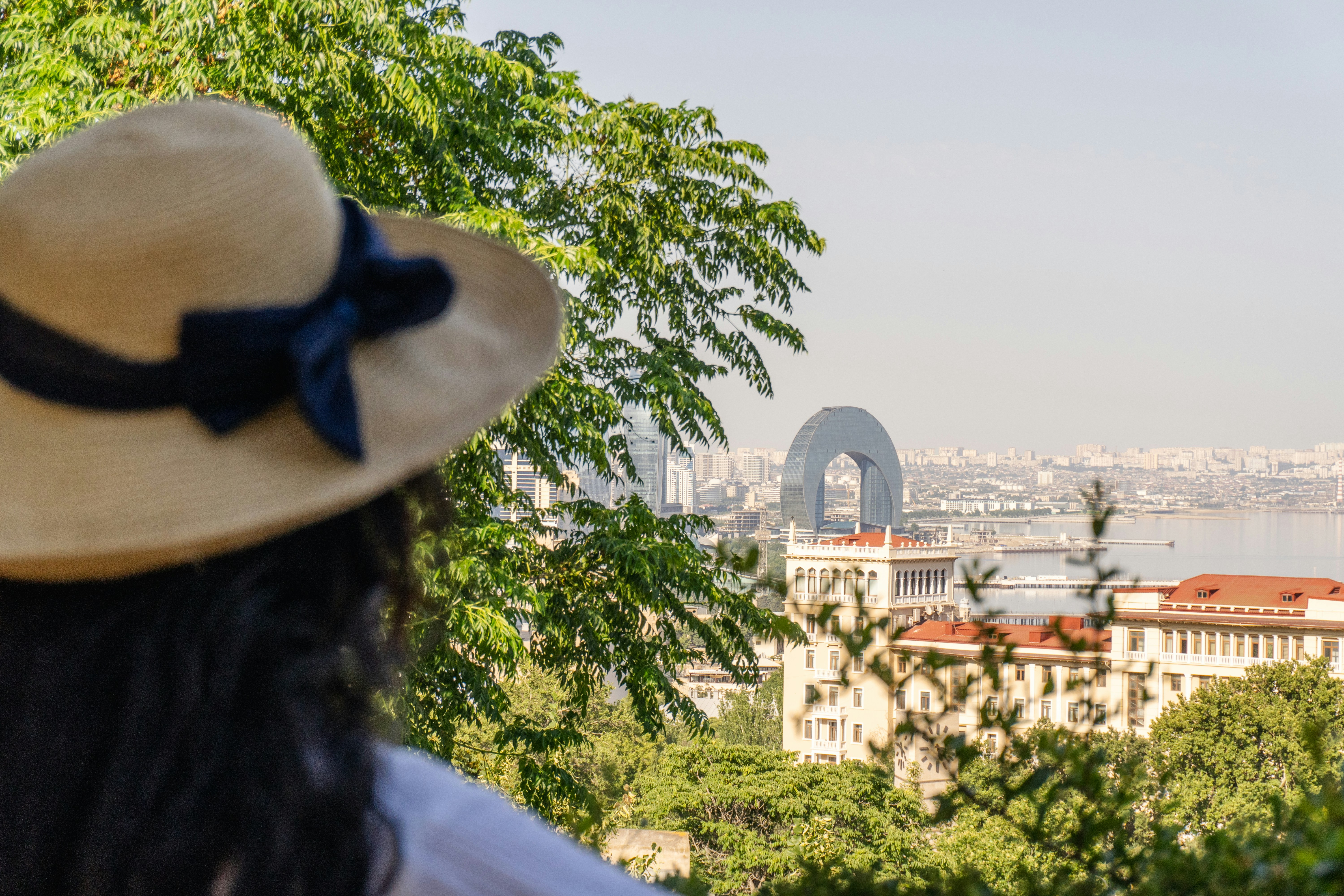 Widow’s View: A Stranger’s Gaze at the Arch and the City