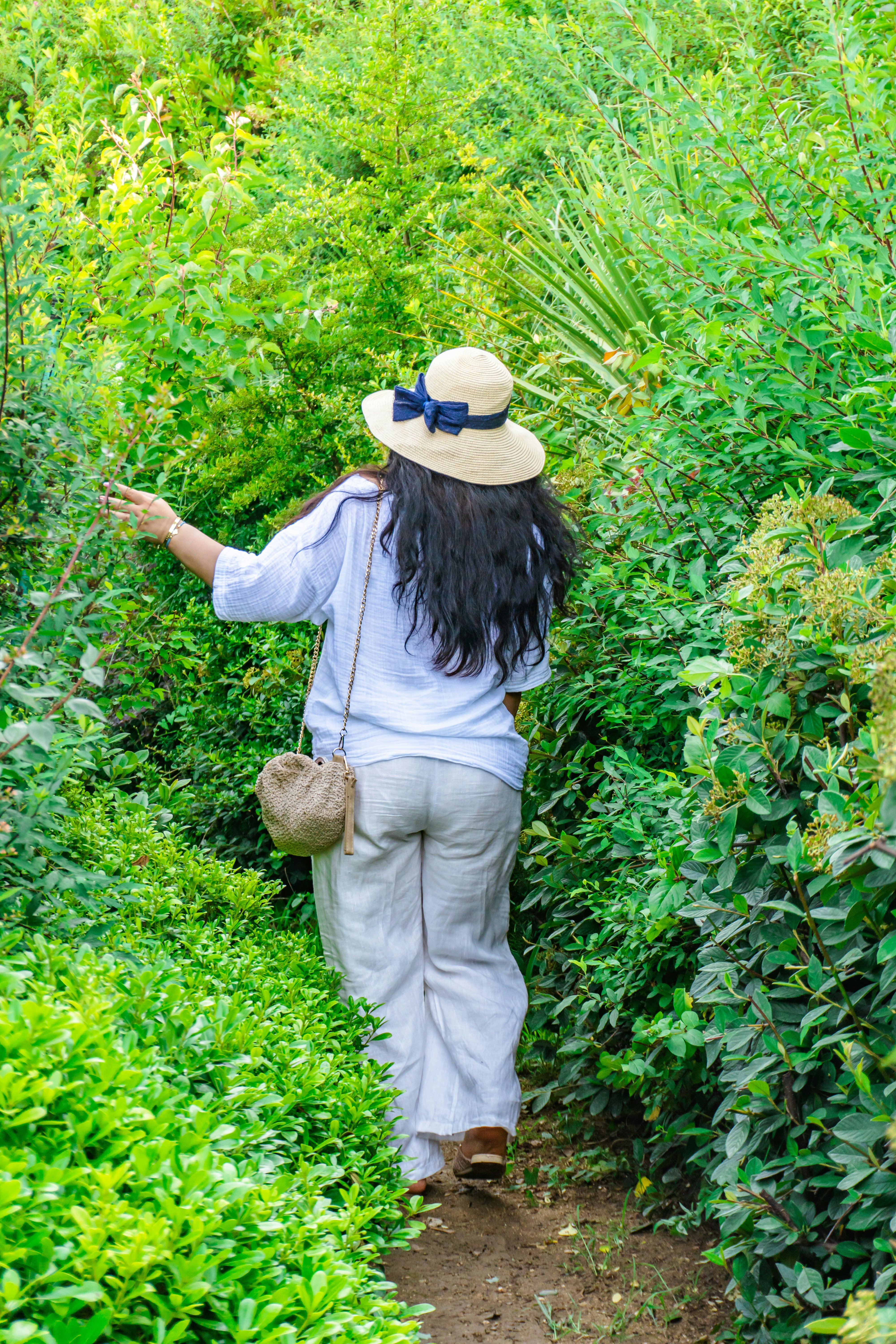 Amid the Green Corridor: A Woman in Straw Hat Walks Through Dense Verdure