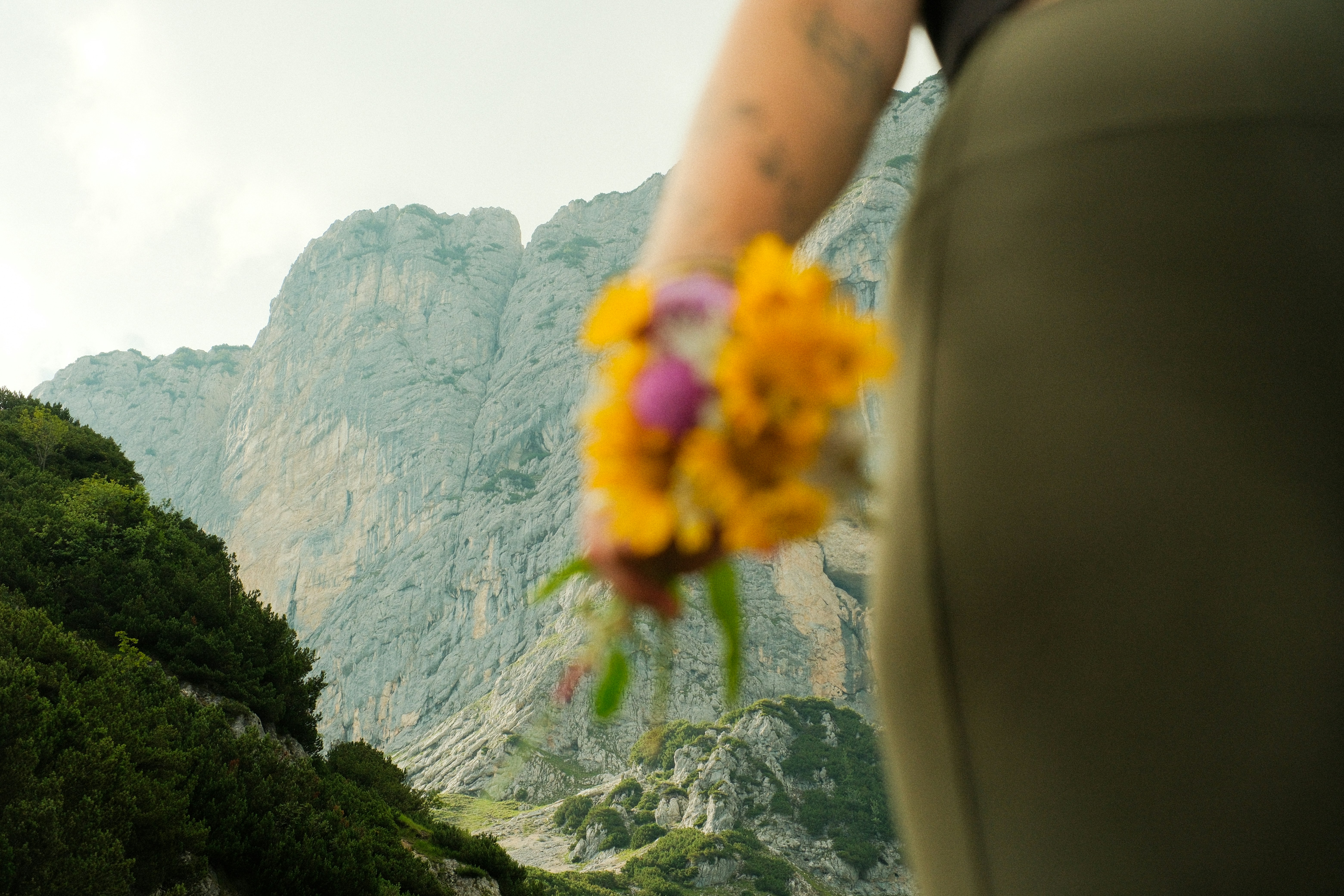 Bloom of Attention: A Bouquet in the Mountain Frame