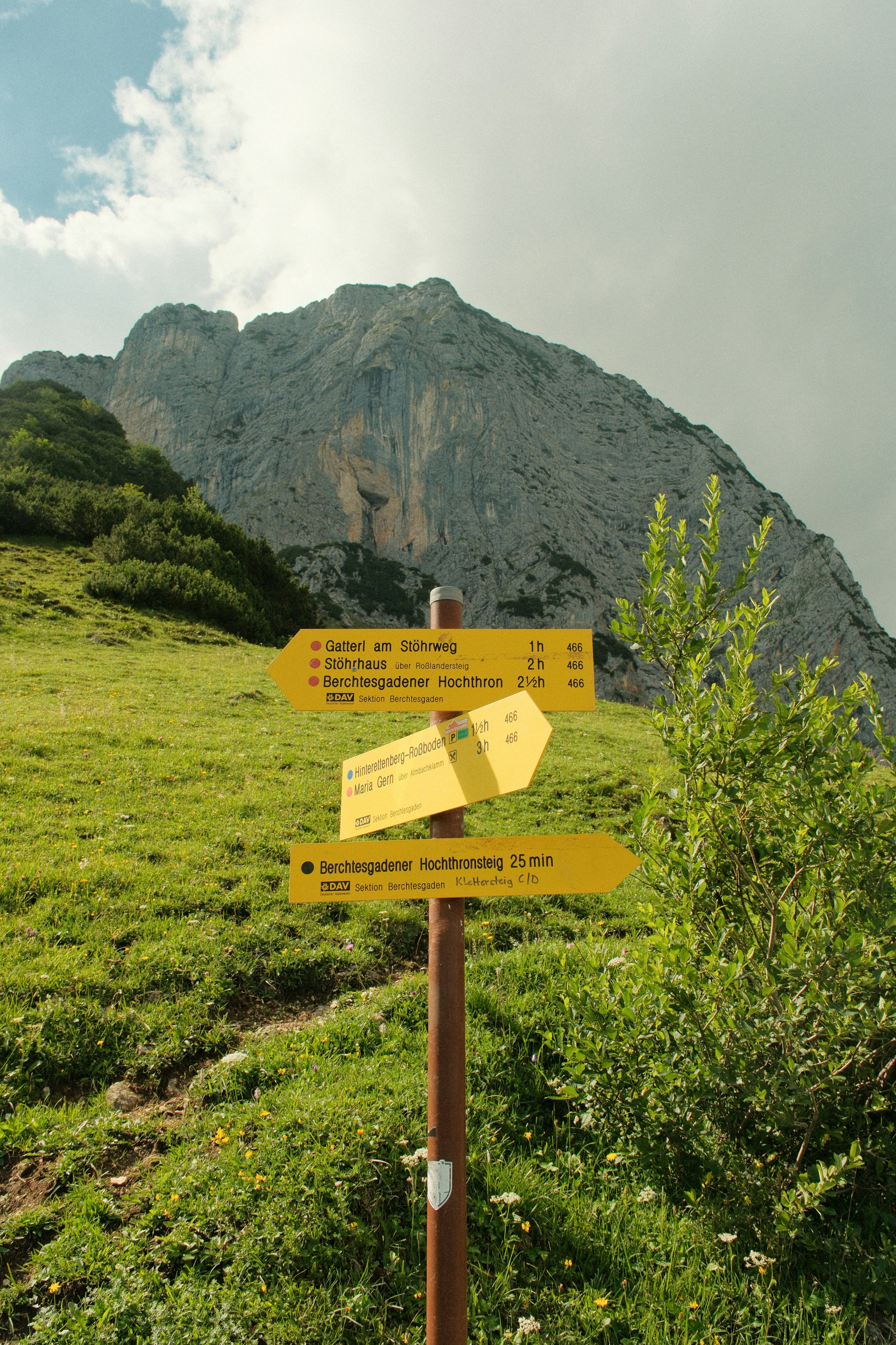 Yellow Signpost in Alpine Meadow Under Rocky Peak