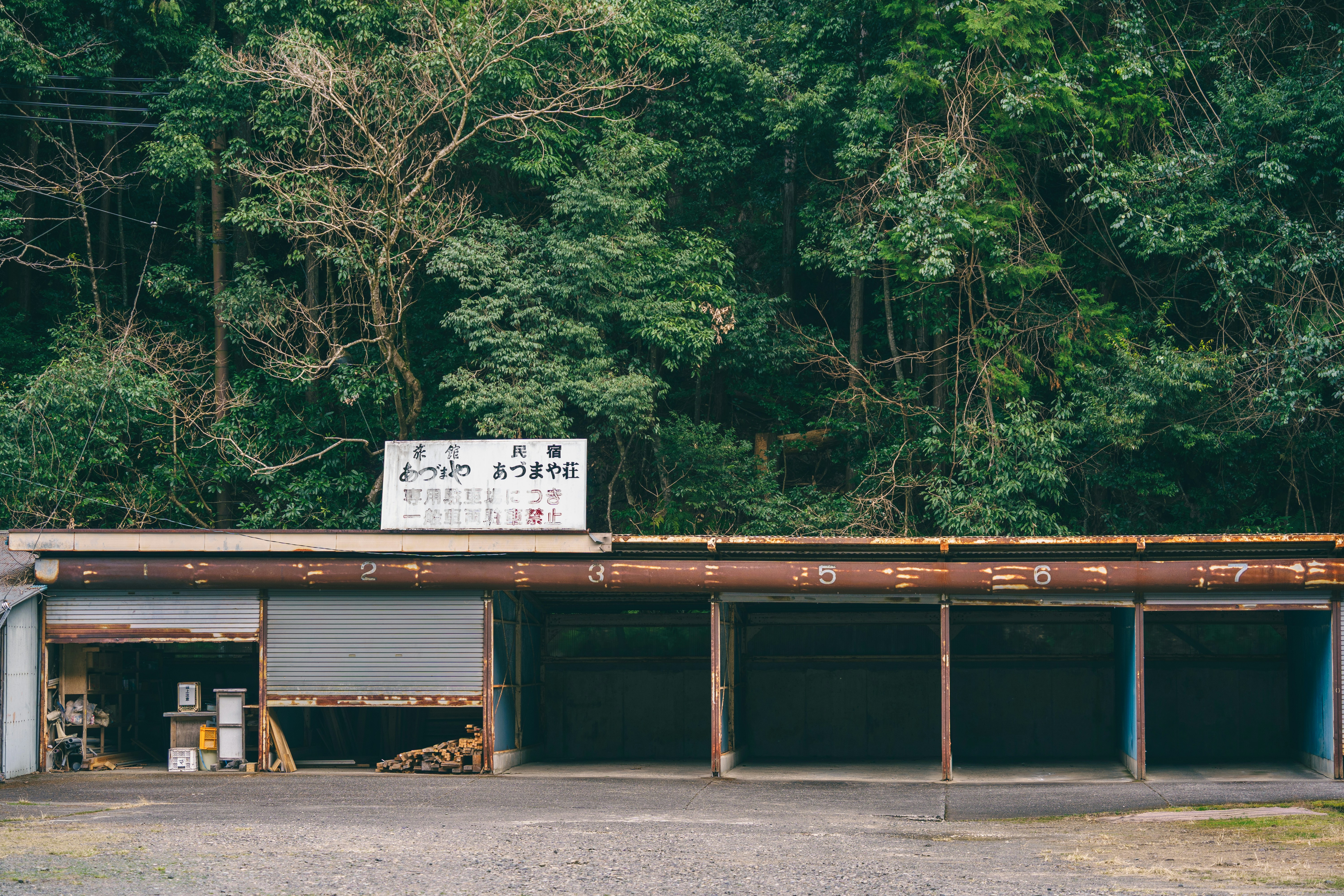 Quiet Industrial Garage Beneath a Tree-Line
