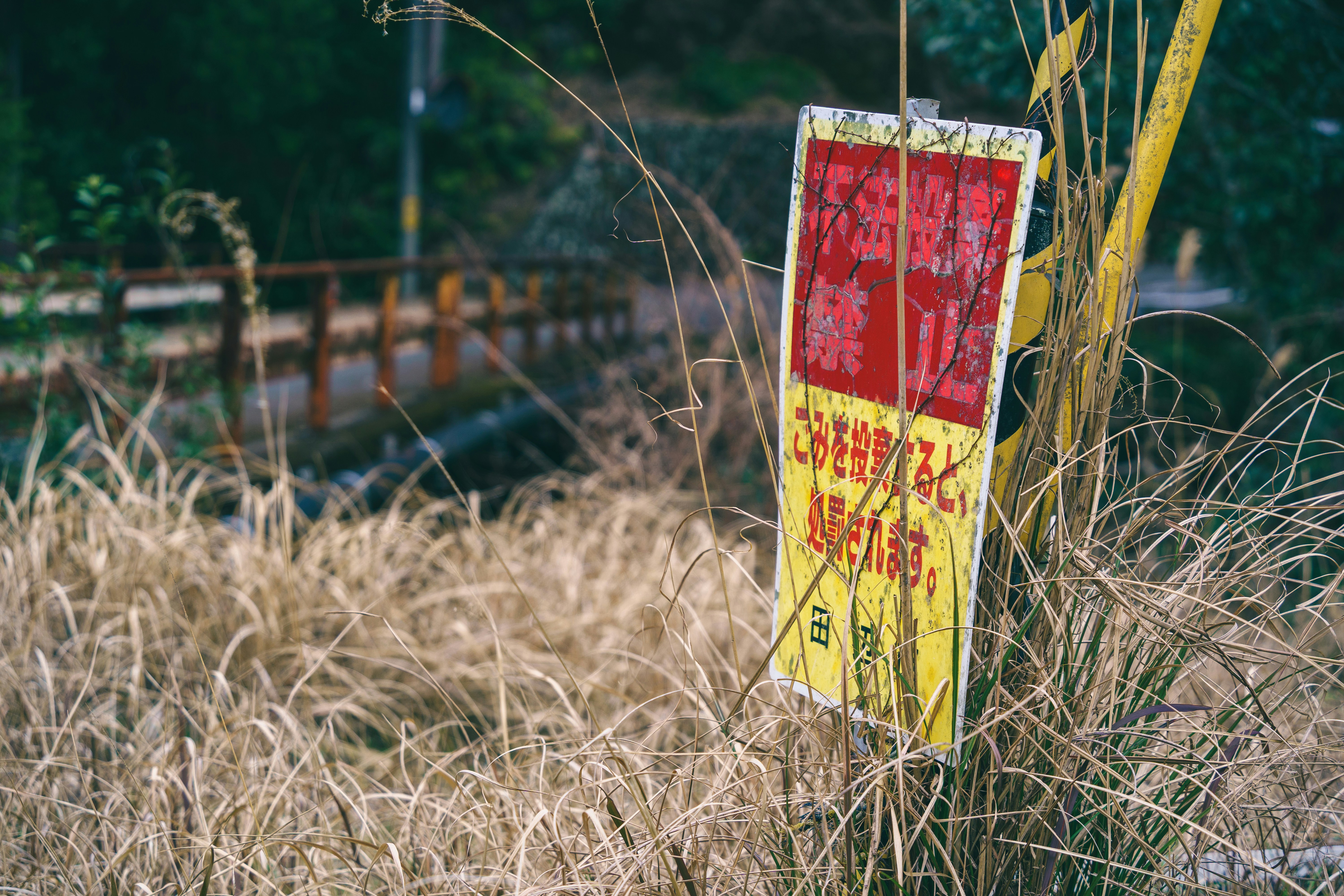 Weathered Warning Sign Leaning into Dry Grass by a Filigreed Path