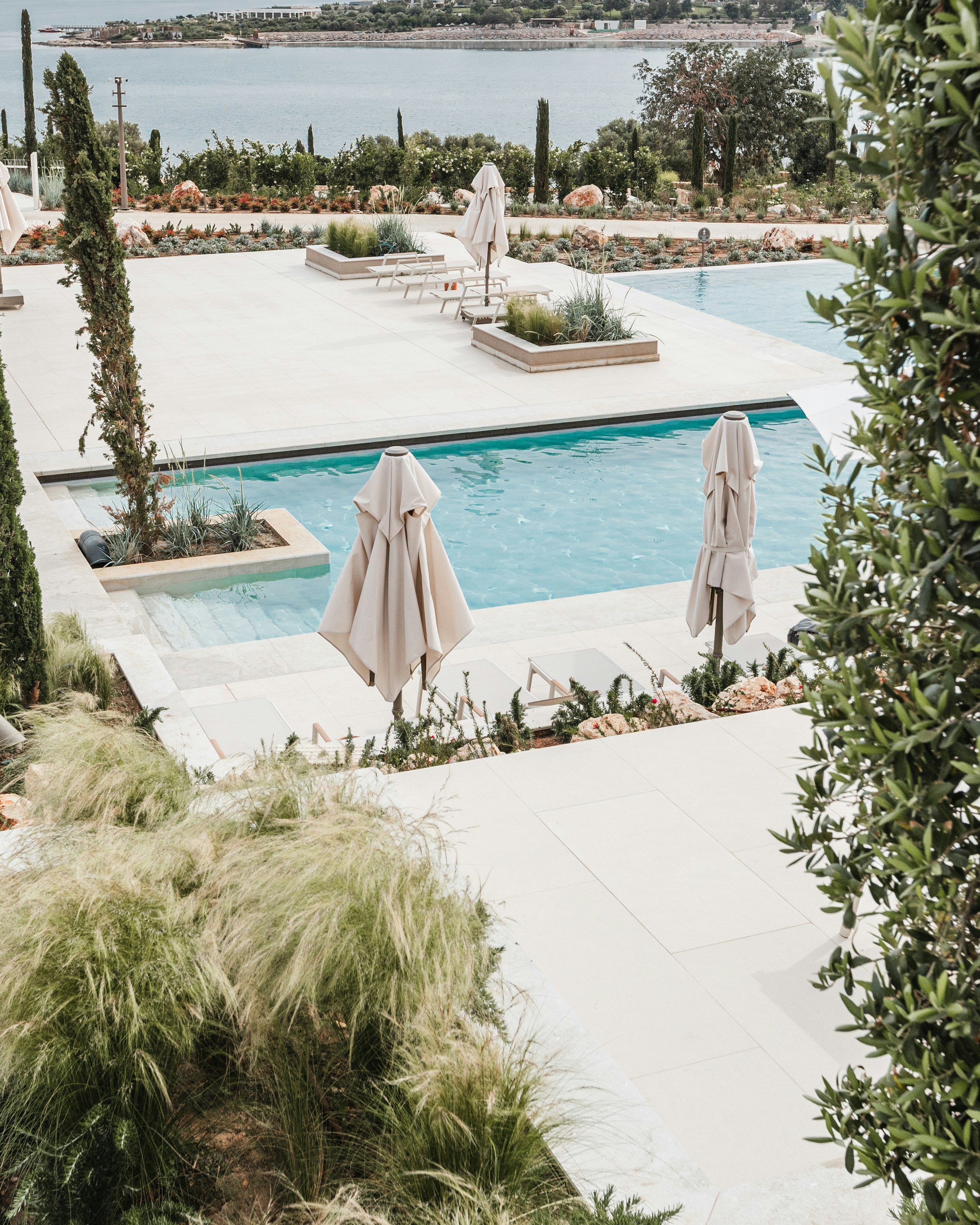 Sunlit resort poolscape with terraced lounges and manicured plantings