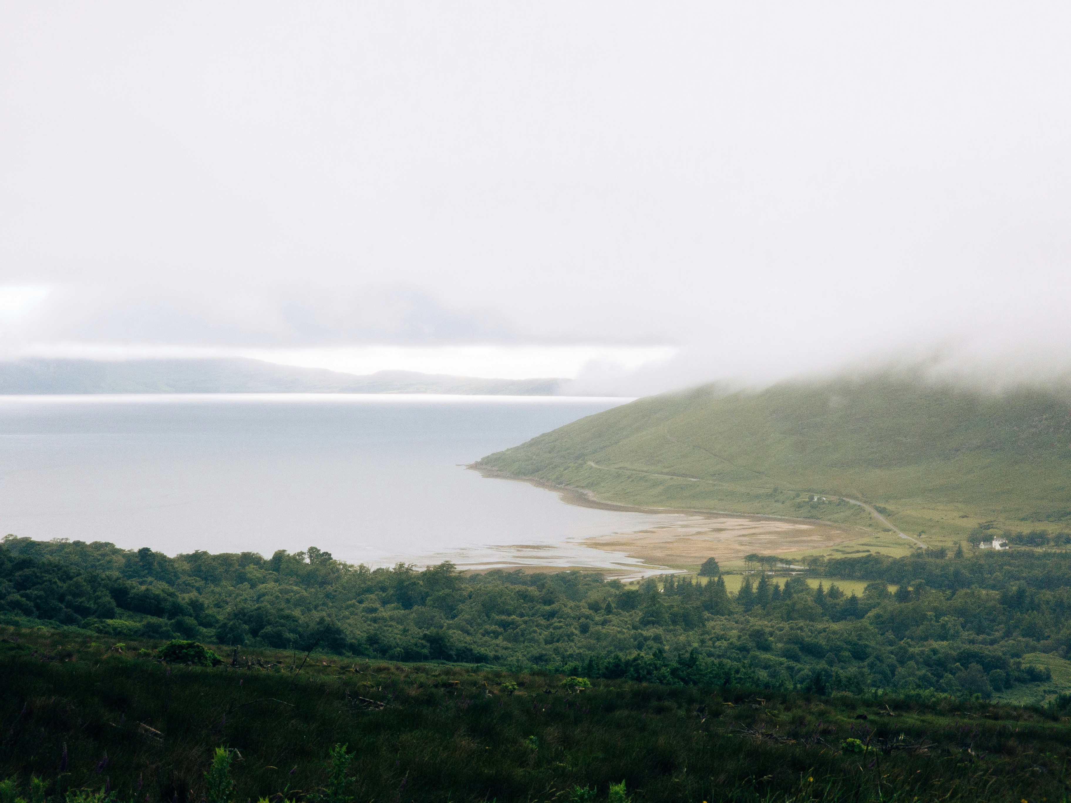 Coastal Mist over Lush Hills