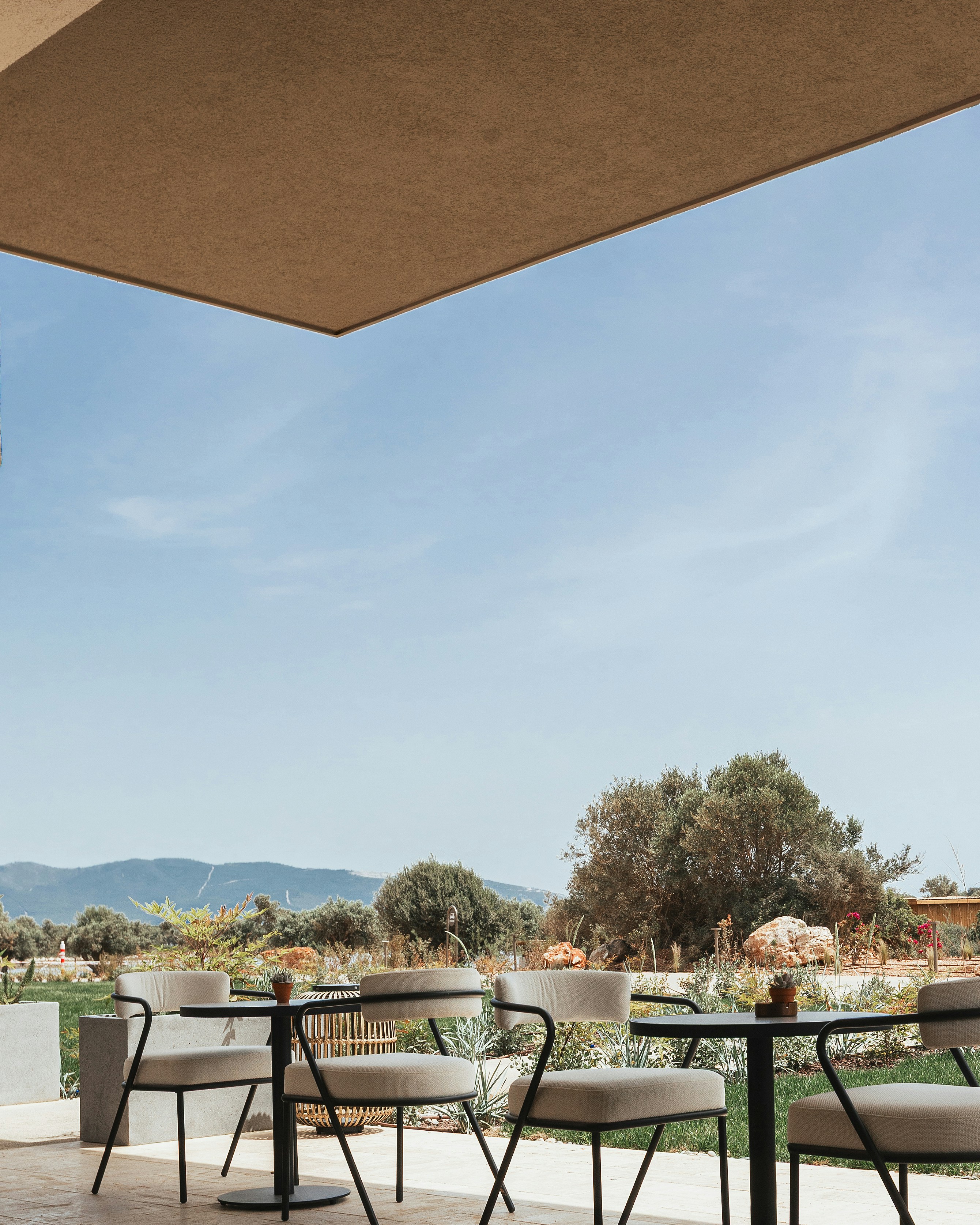 Terrace Brew: Sunlit Chairs Framing a Quiet Outdoor Cafe