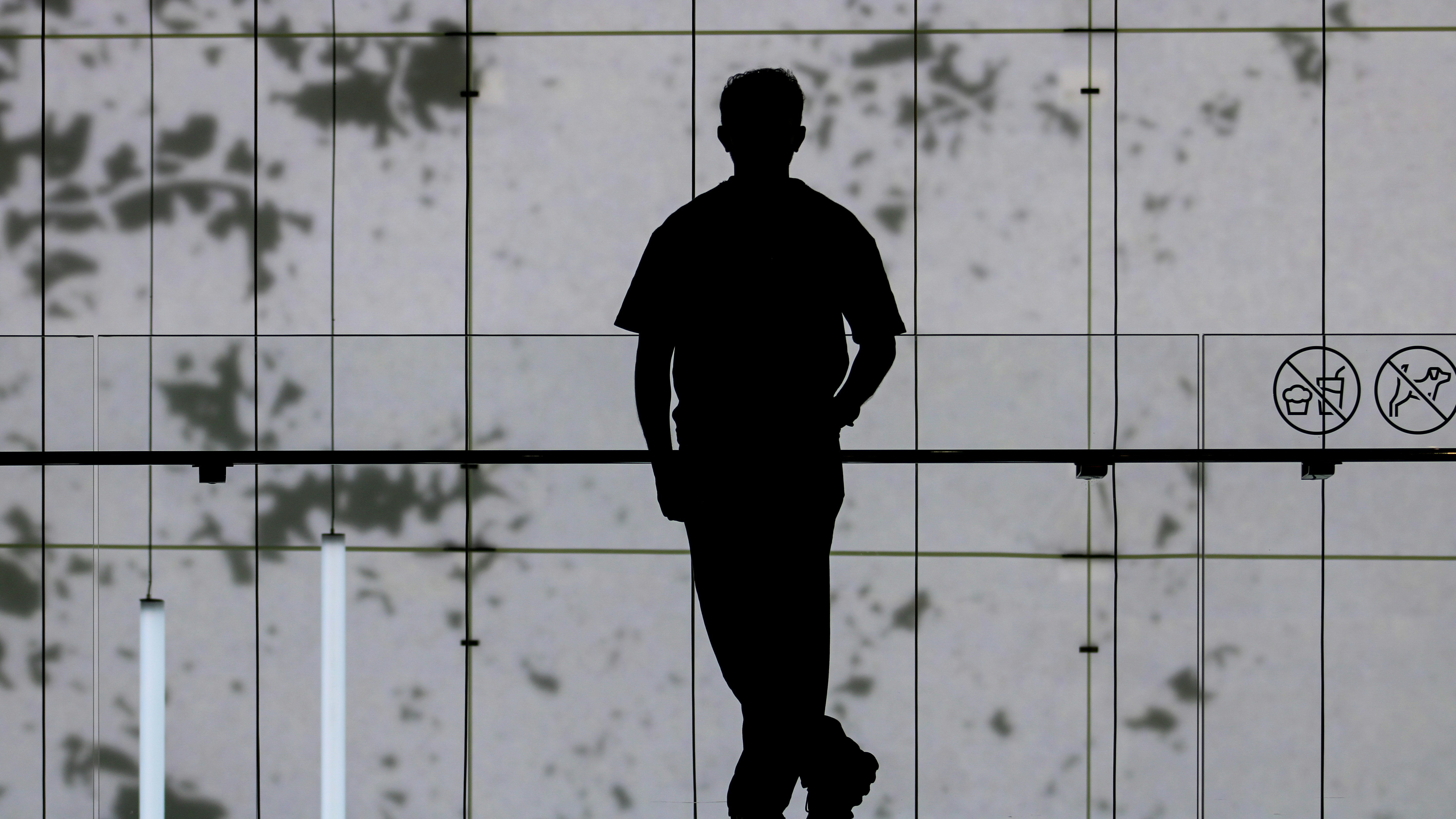 Silhouette in Transit: A Figure Framed by a Grid of Light