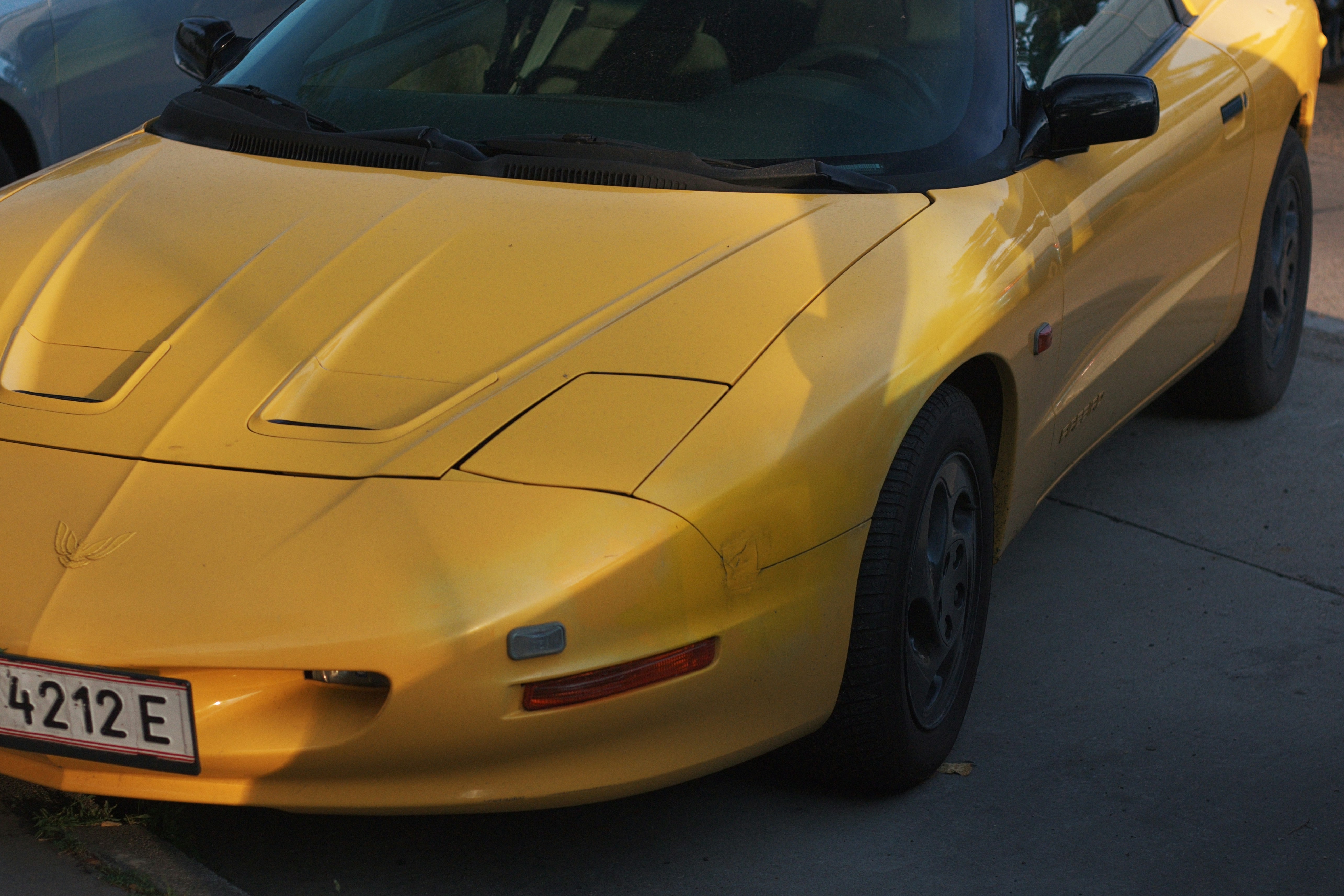 Low-Angle Glimpse of a Yellow Curve: The Porsche-Like Front End
