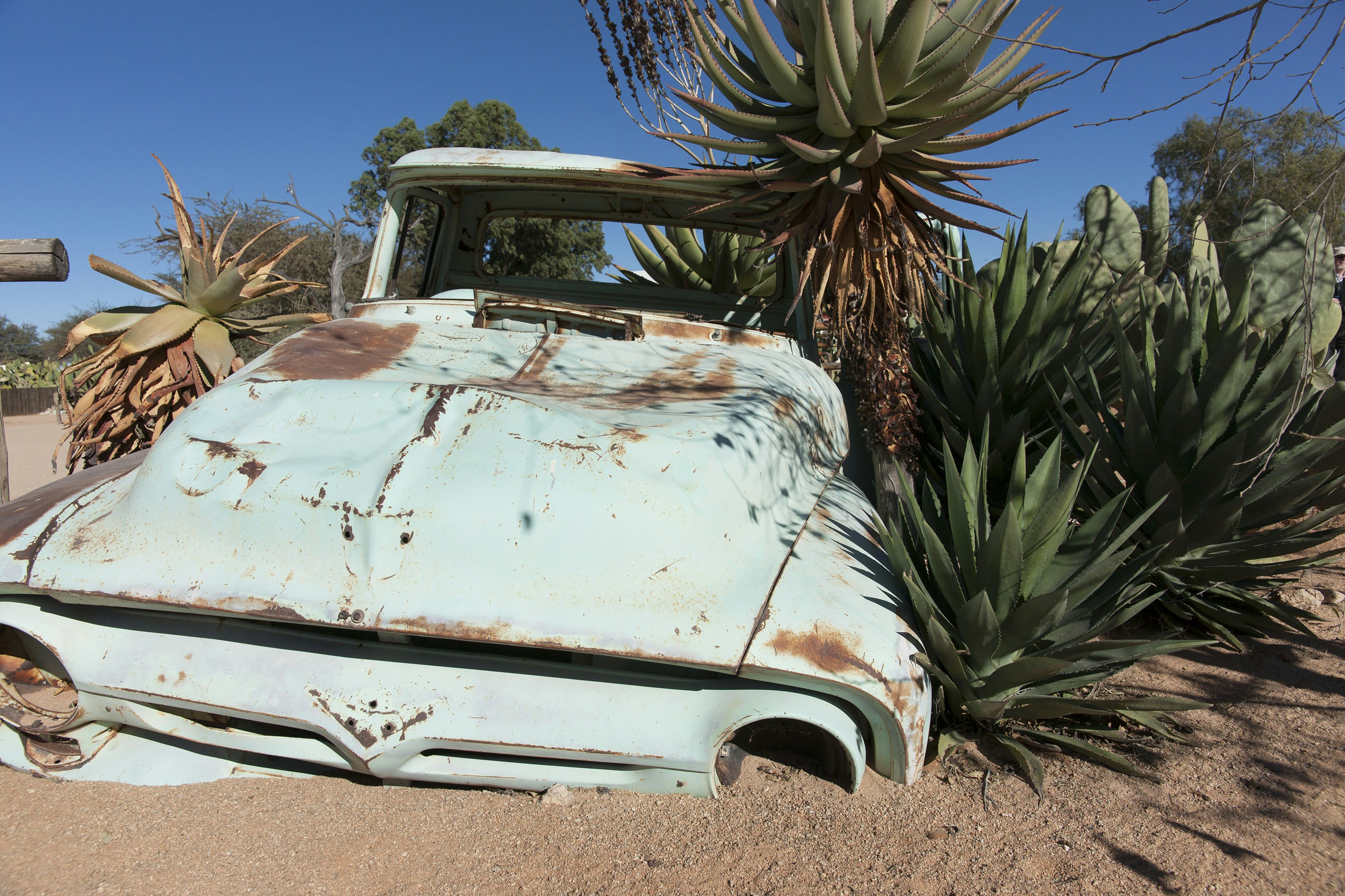 Rusted Relic Nestled Among Cacti: A Desert-Windowed Glimpse
