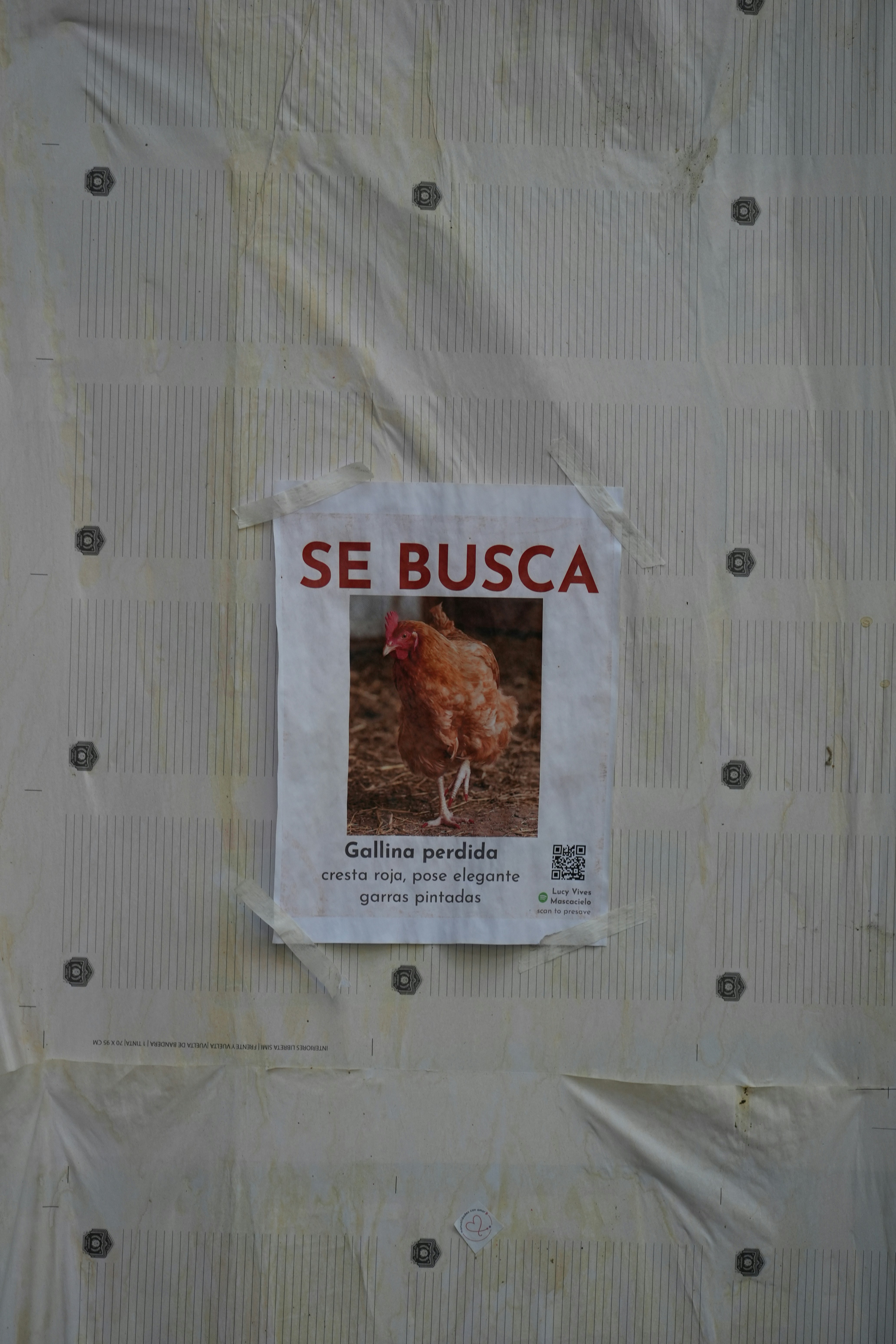 Missing Hen Poster on a Weathered Wall