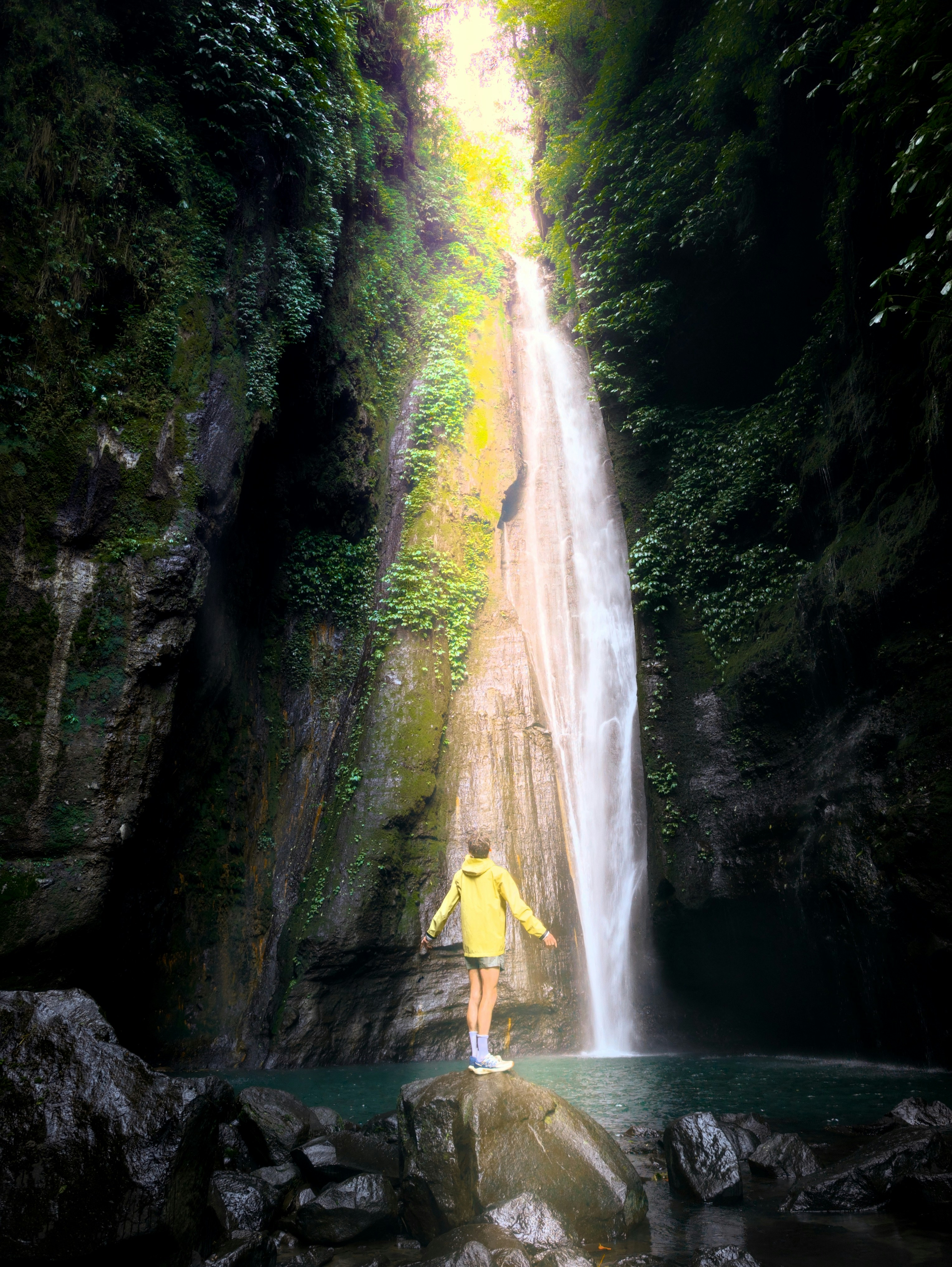 Traveler in Yellow: A Hidden Cascade’s Quiet Balcony
