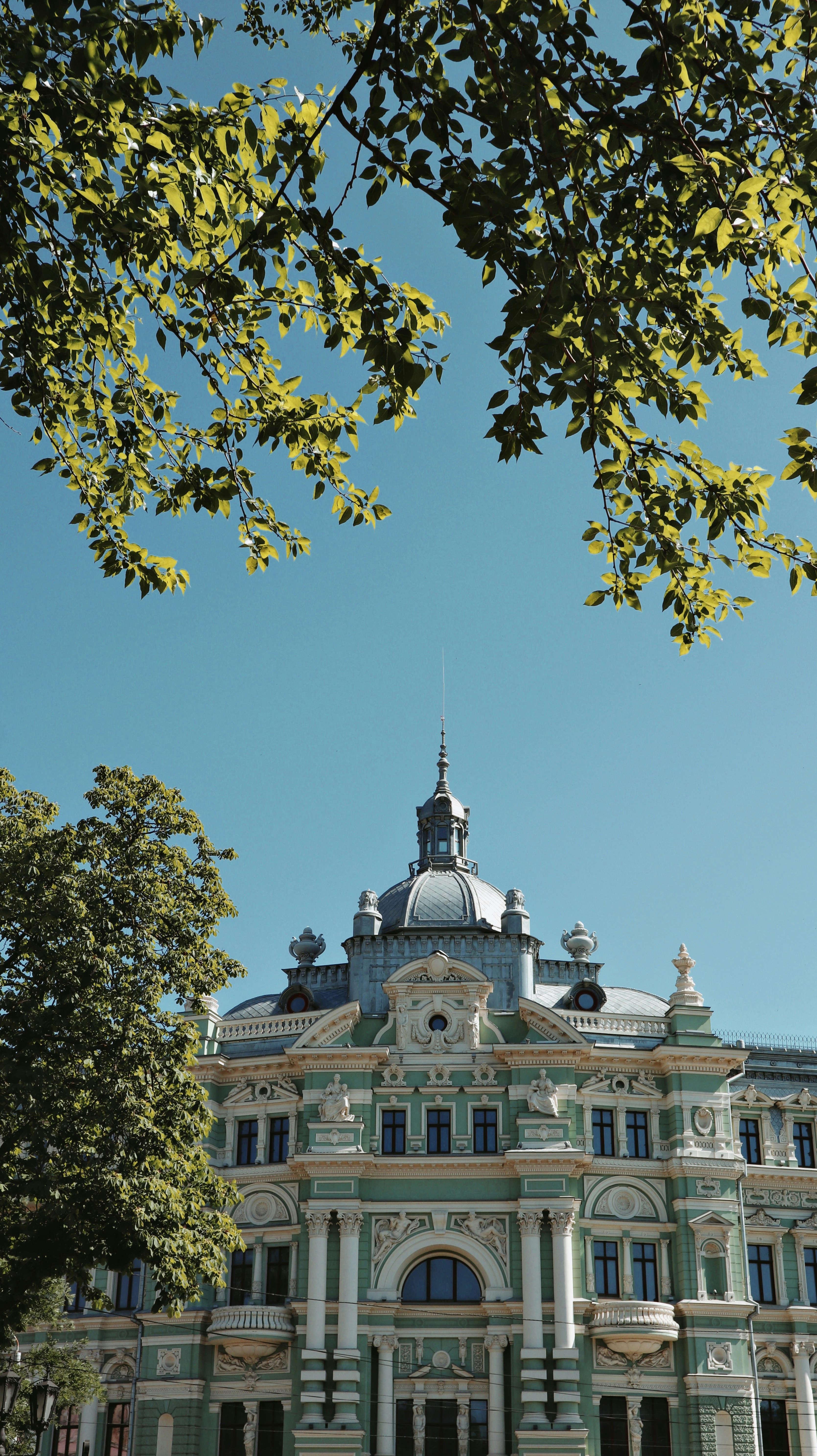 Ornate Facade Beneath Verdant Canopy