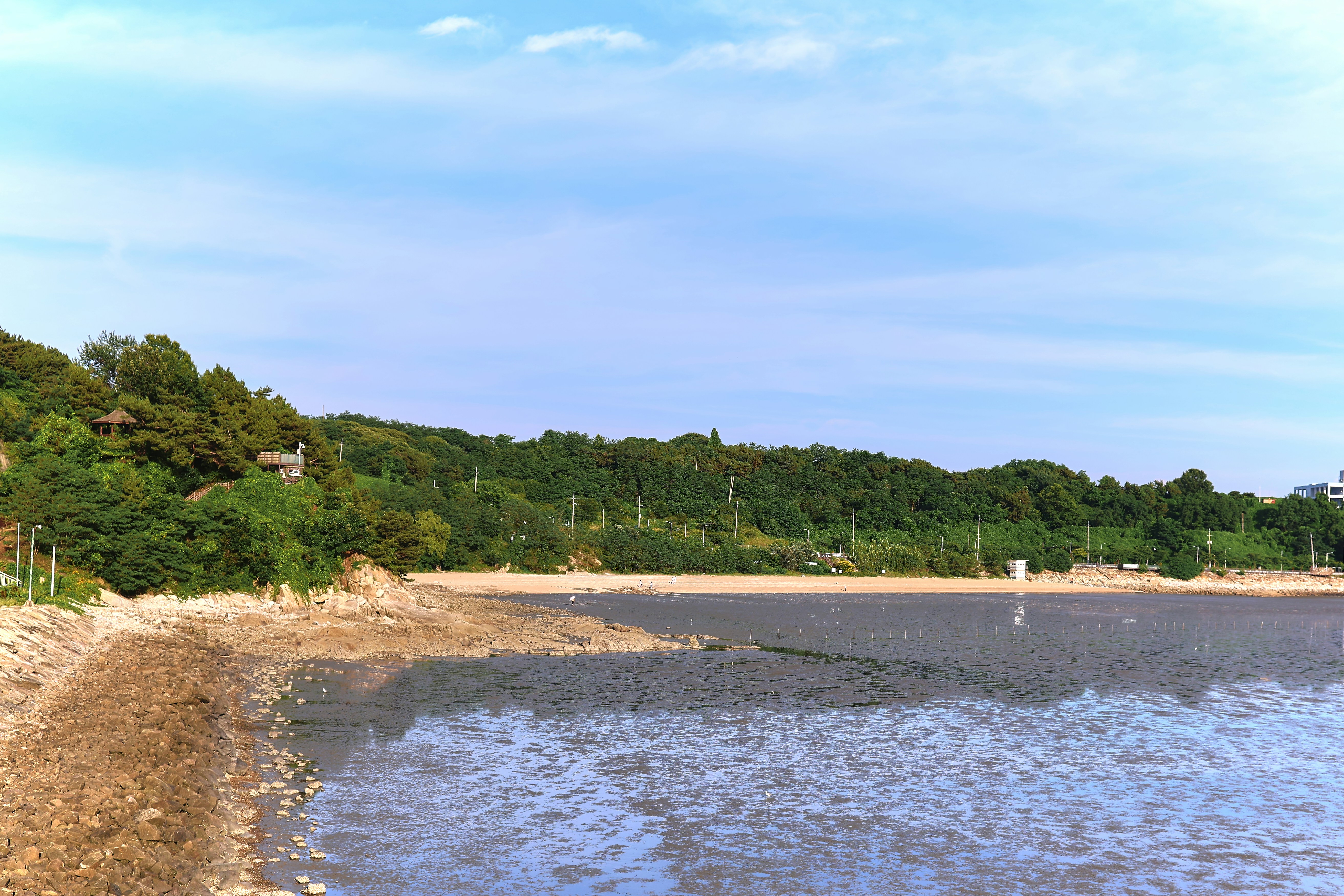 Coastal Curve: Sunlit Shallows Meet a Quiet Shore