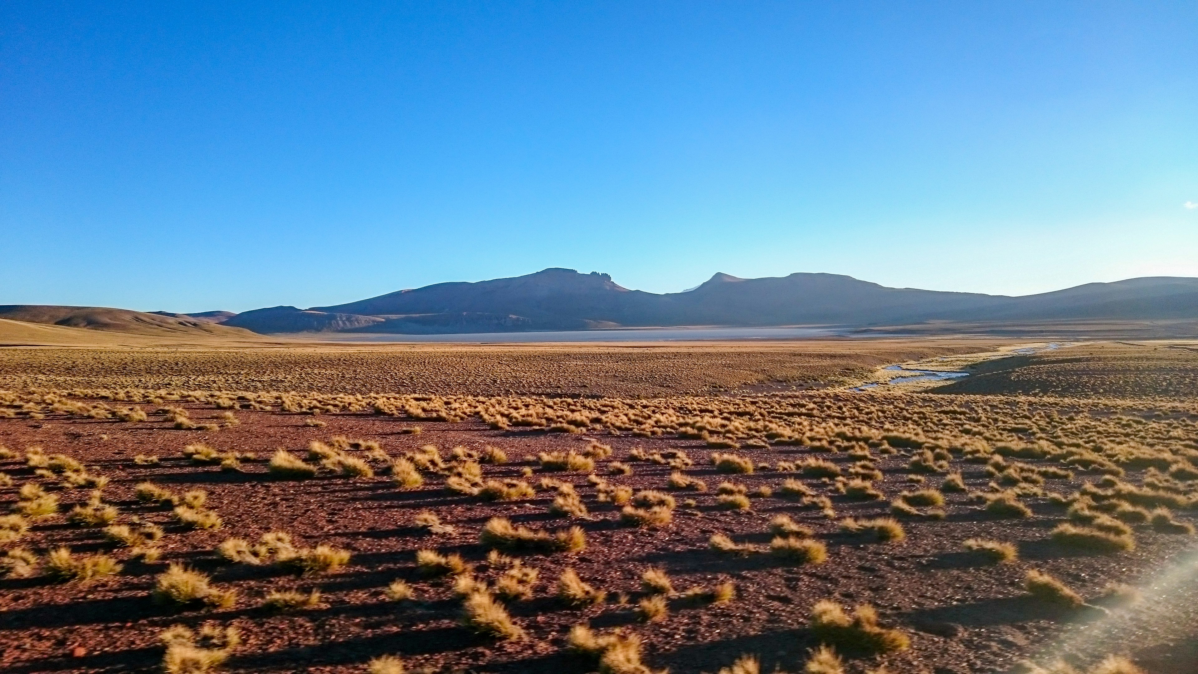 Desert Ribbon: Low Hills and Tufts of Grass Under Wide Sky
