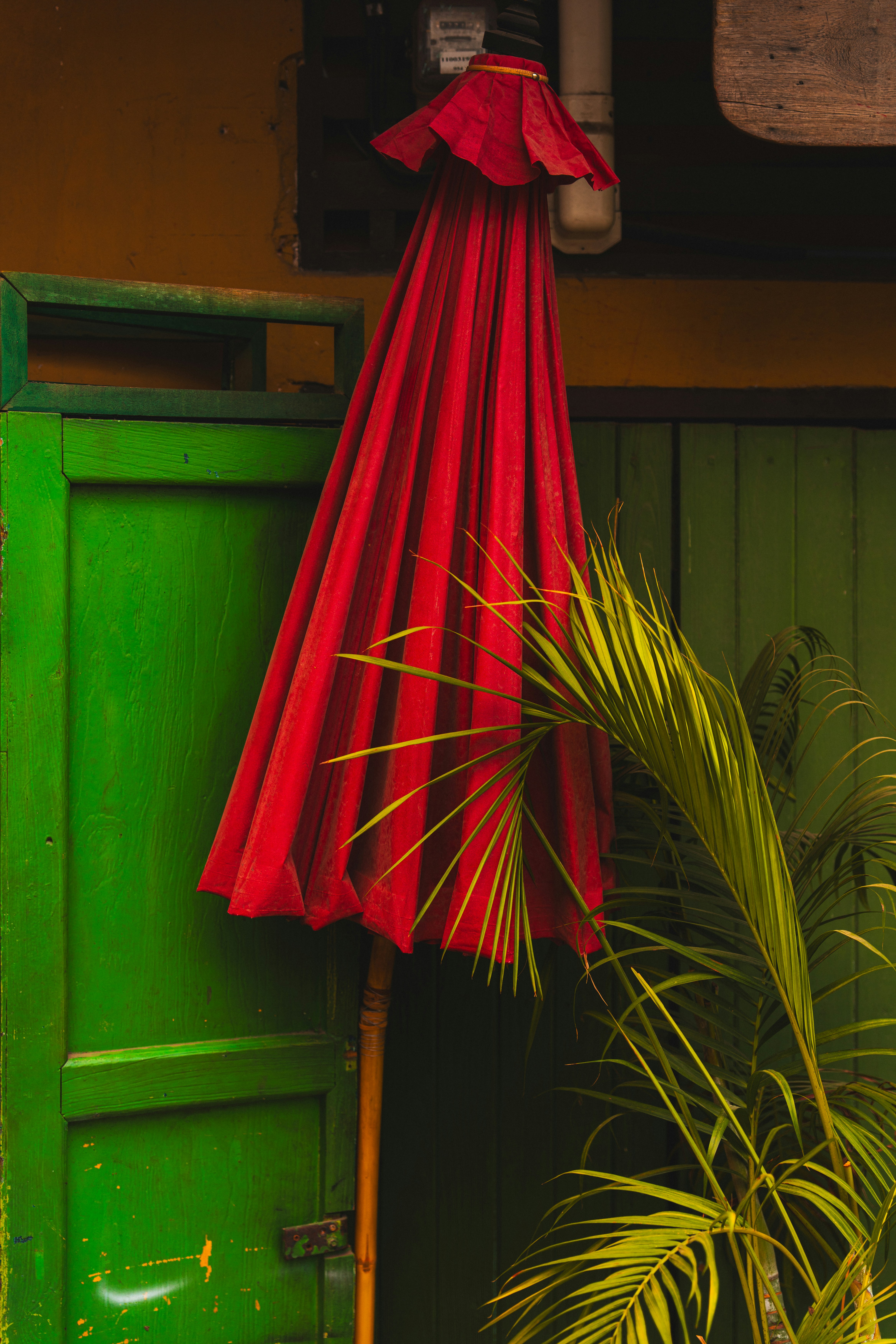 Red Curtain of Color: A Green Doorframe and Palm in a Quiet Corner