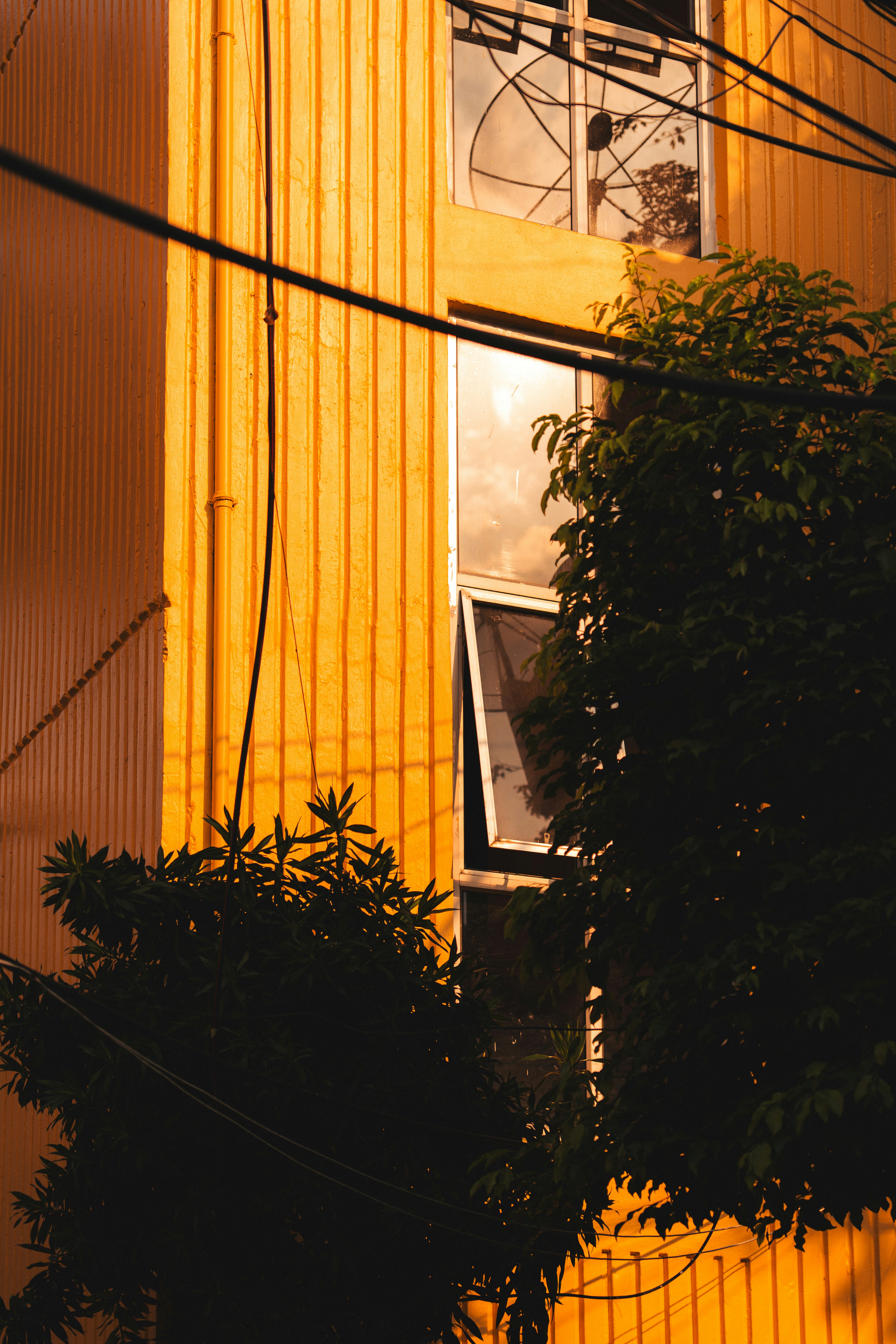 Sunlit Ironwork and Ivy on a Warm-Yellow Facade
