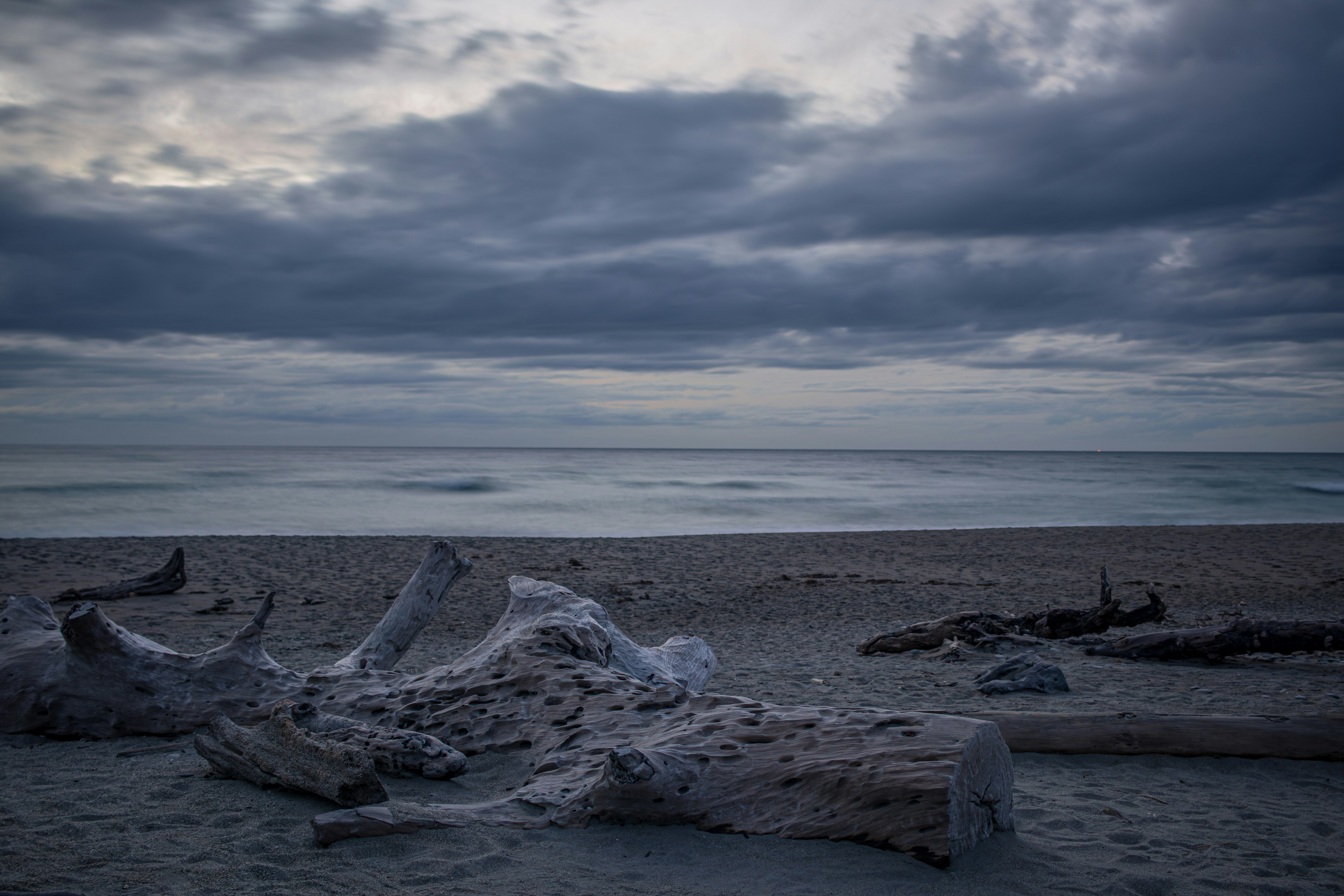 Driftwood on a Quiet Shore at Dusk