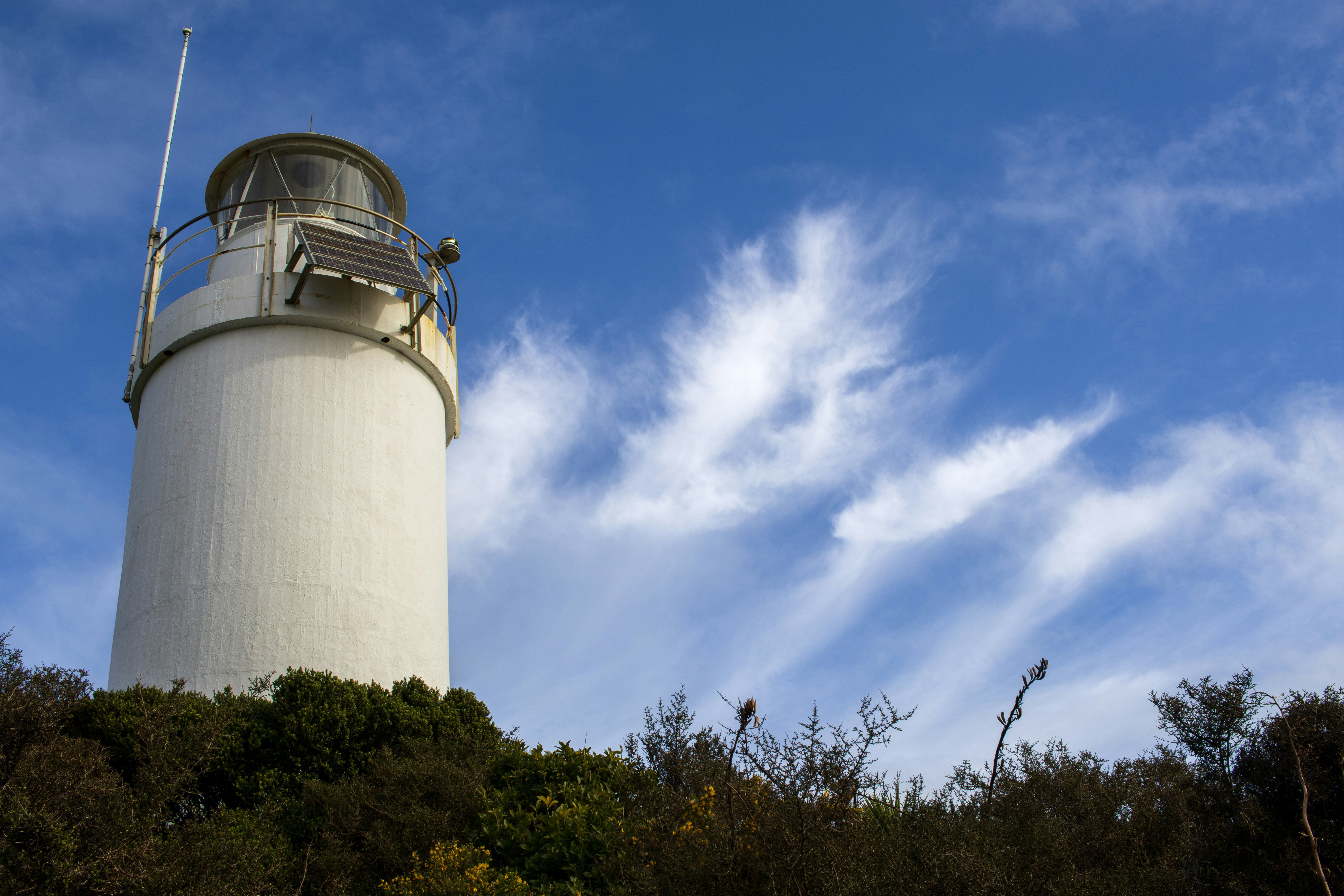 Beacon Above the Brush: A Lone Lighthouse Reaching for the Sky