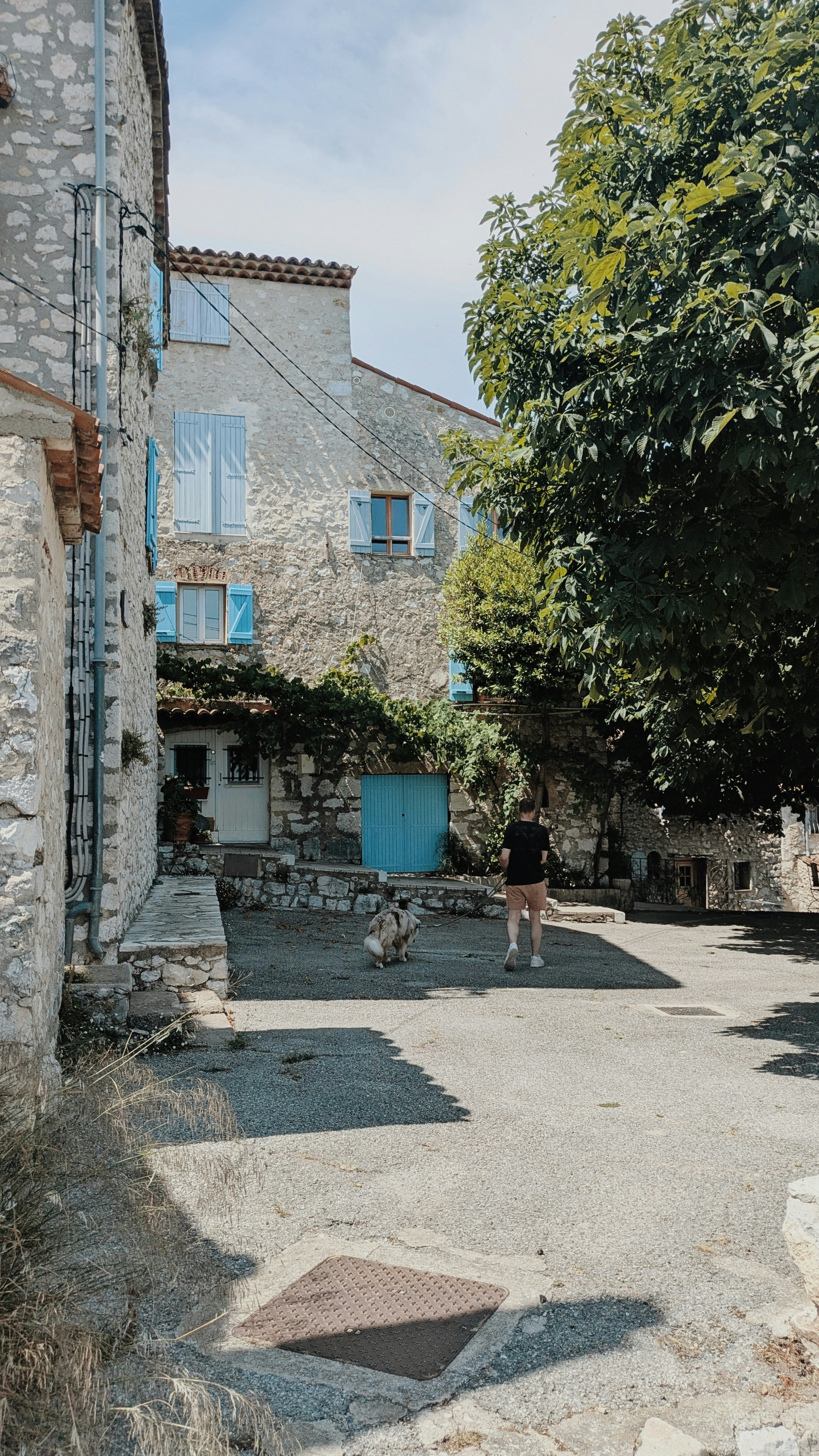 Gothic village courtyard: a sunlit path, a lone pedestrian and a dog