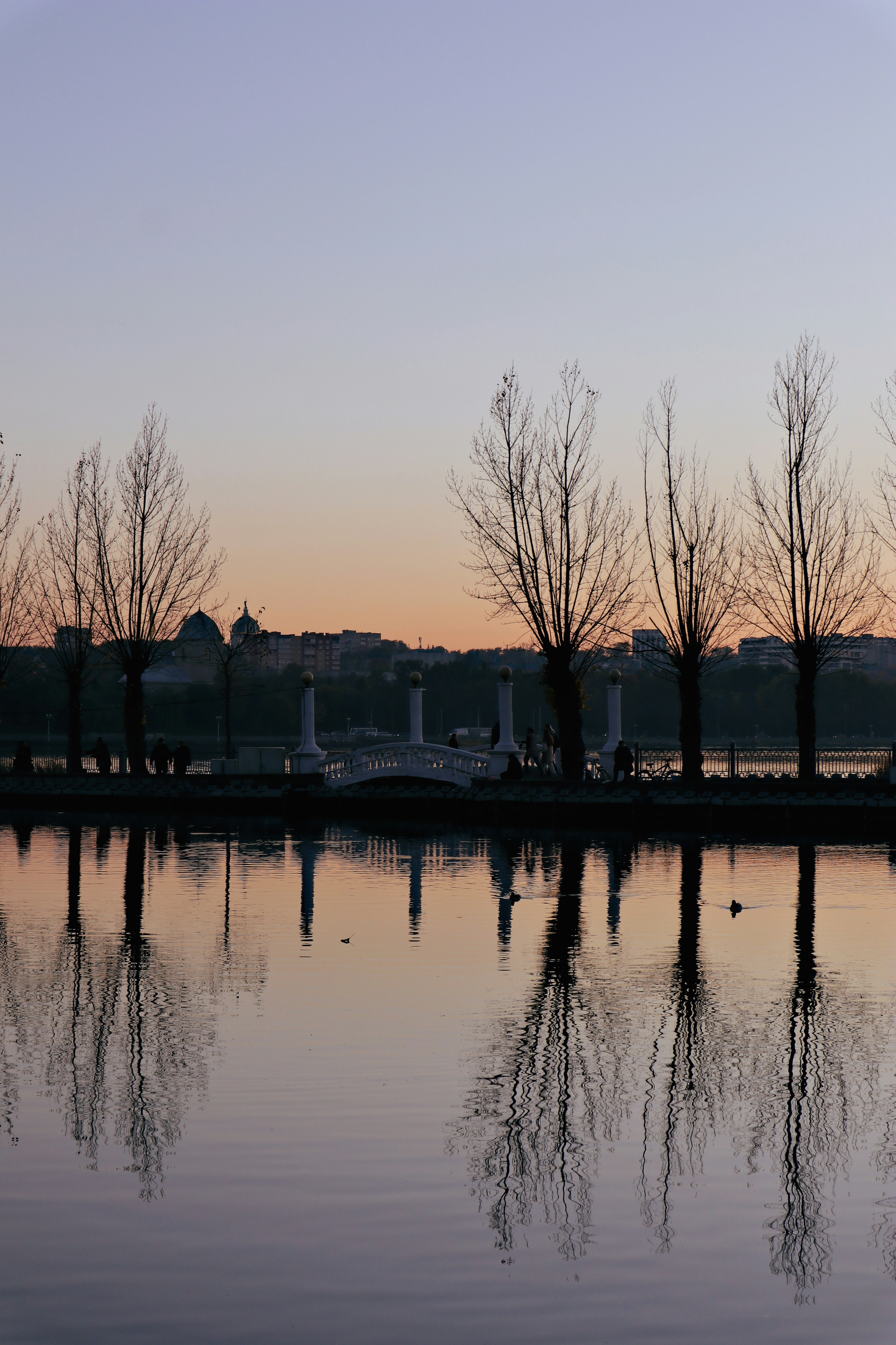 Dusk on the Water: Silent Trees and a City’s Echo
