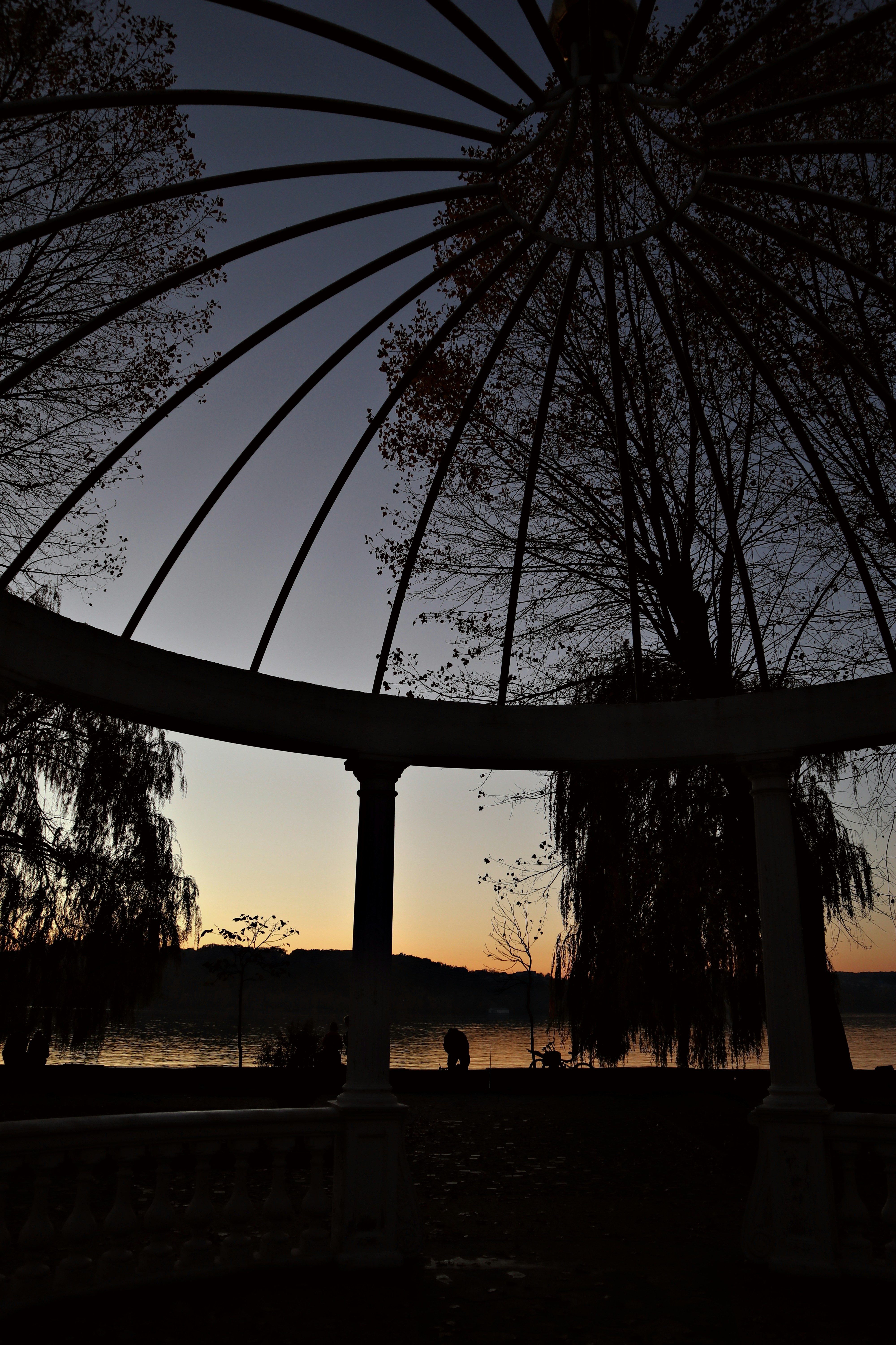 Silhouette of an Arboric Frame at Sunset Over the Quiet Lake