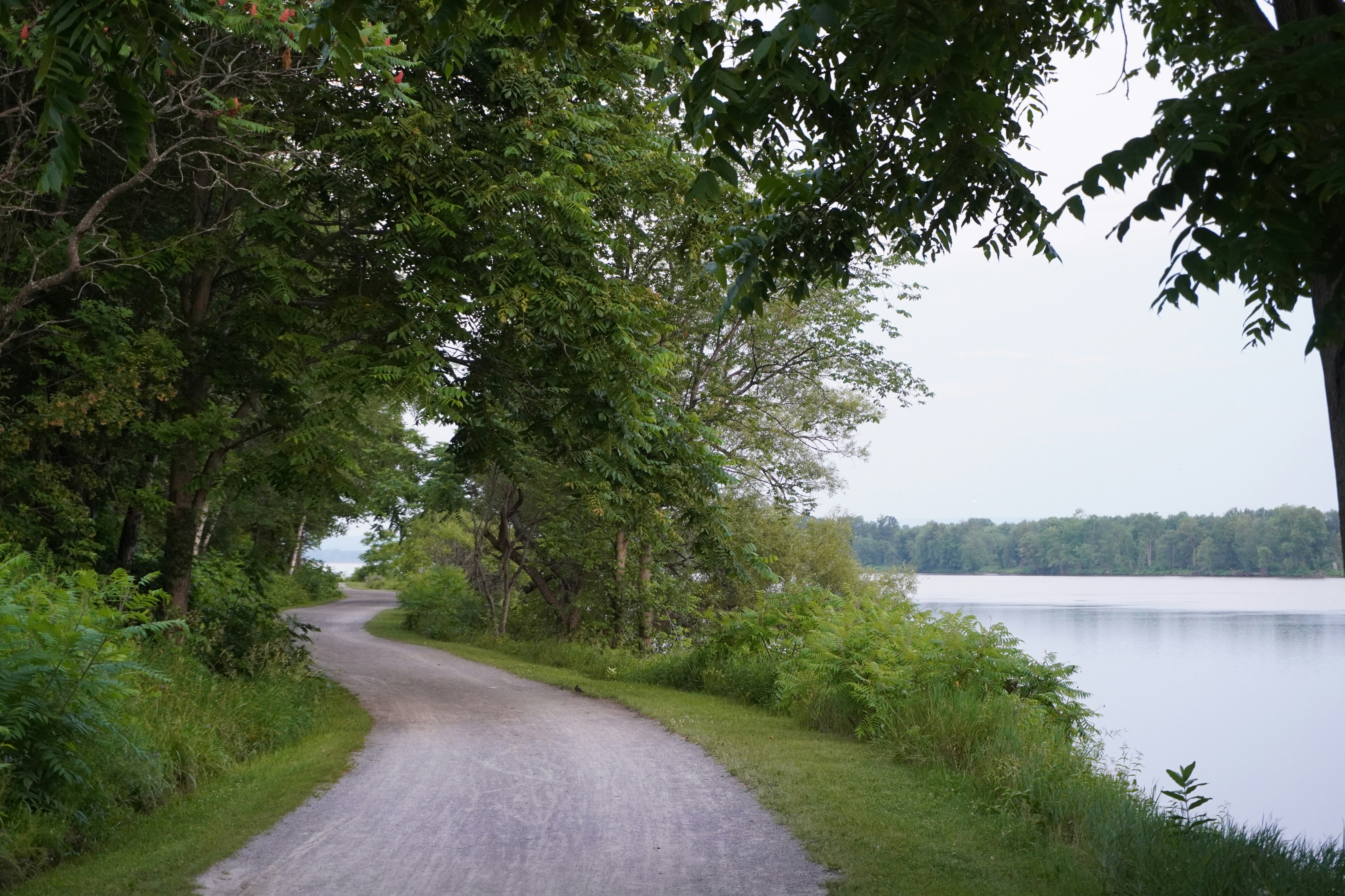 Path by the Lake: Quiet Green Corridor