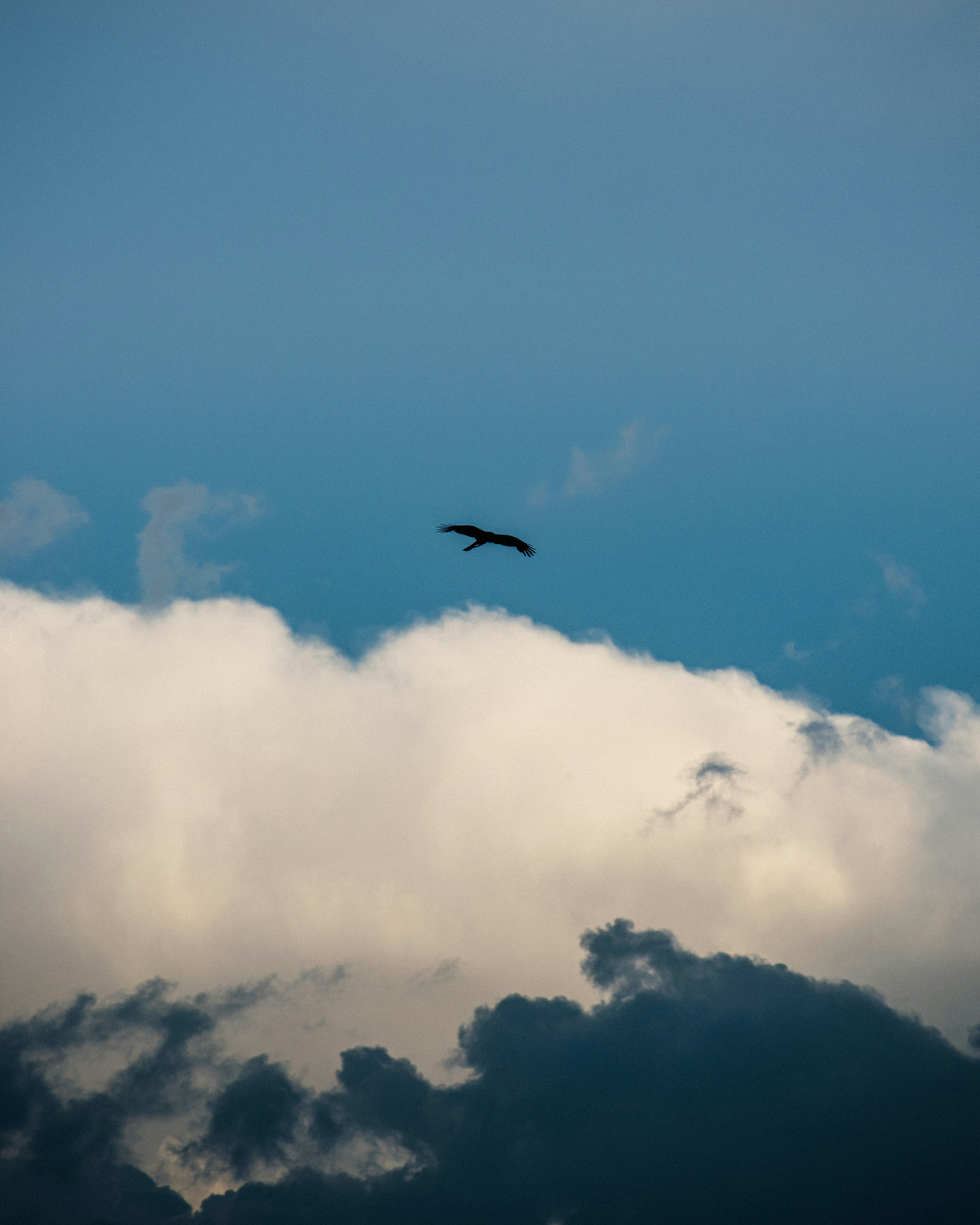Winged Silhouette Over a Sea of Clouds