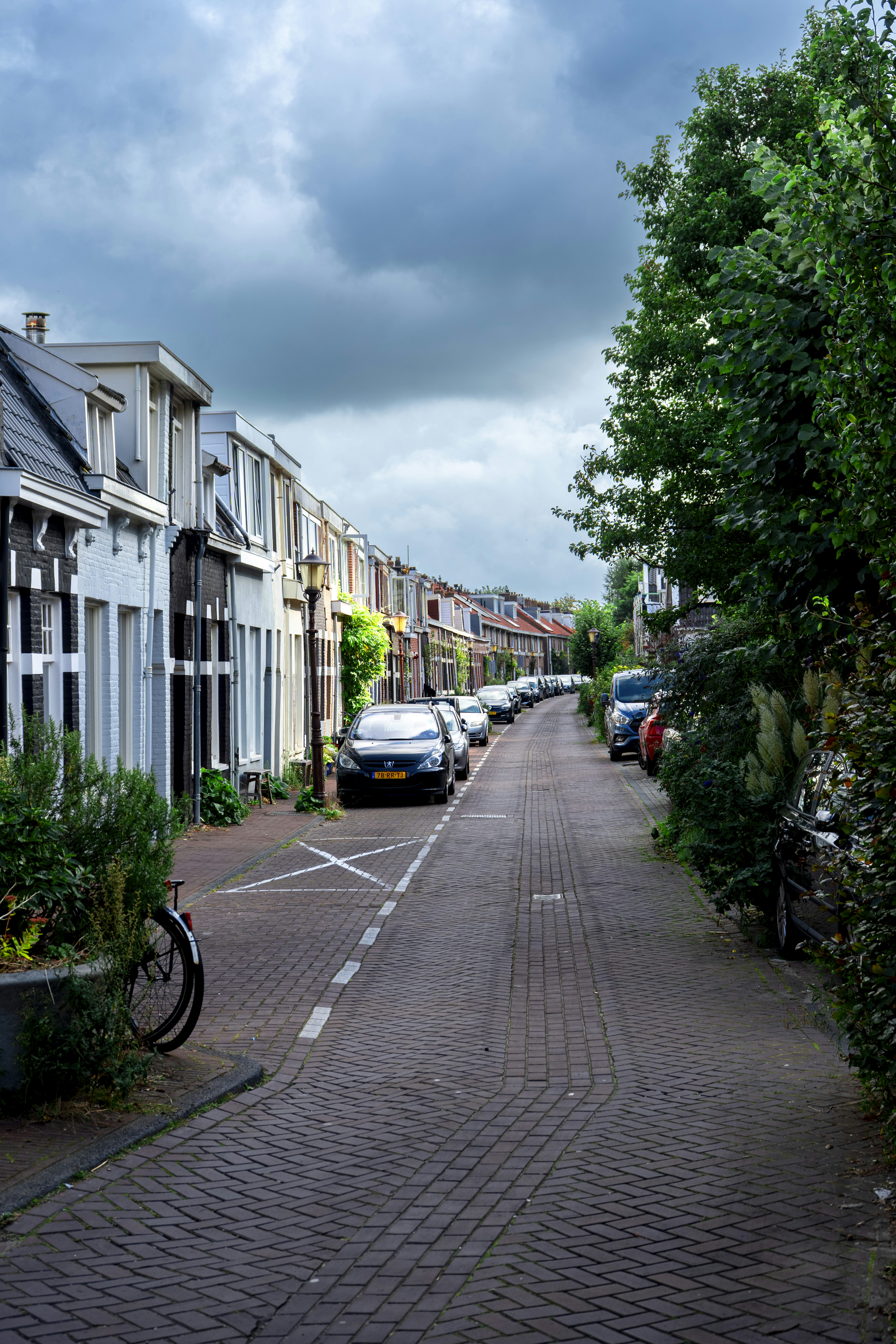 A Quiet Canal Street: Rows of Townhouses Recede Under Stormy Sky