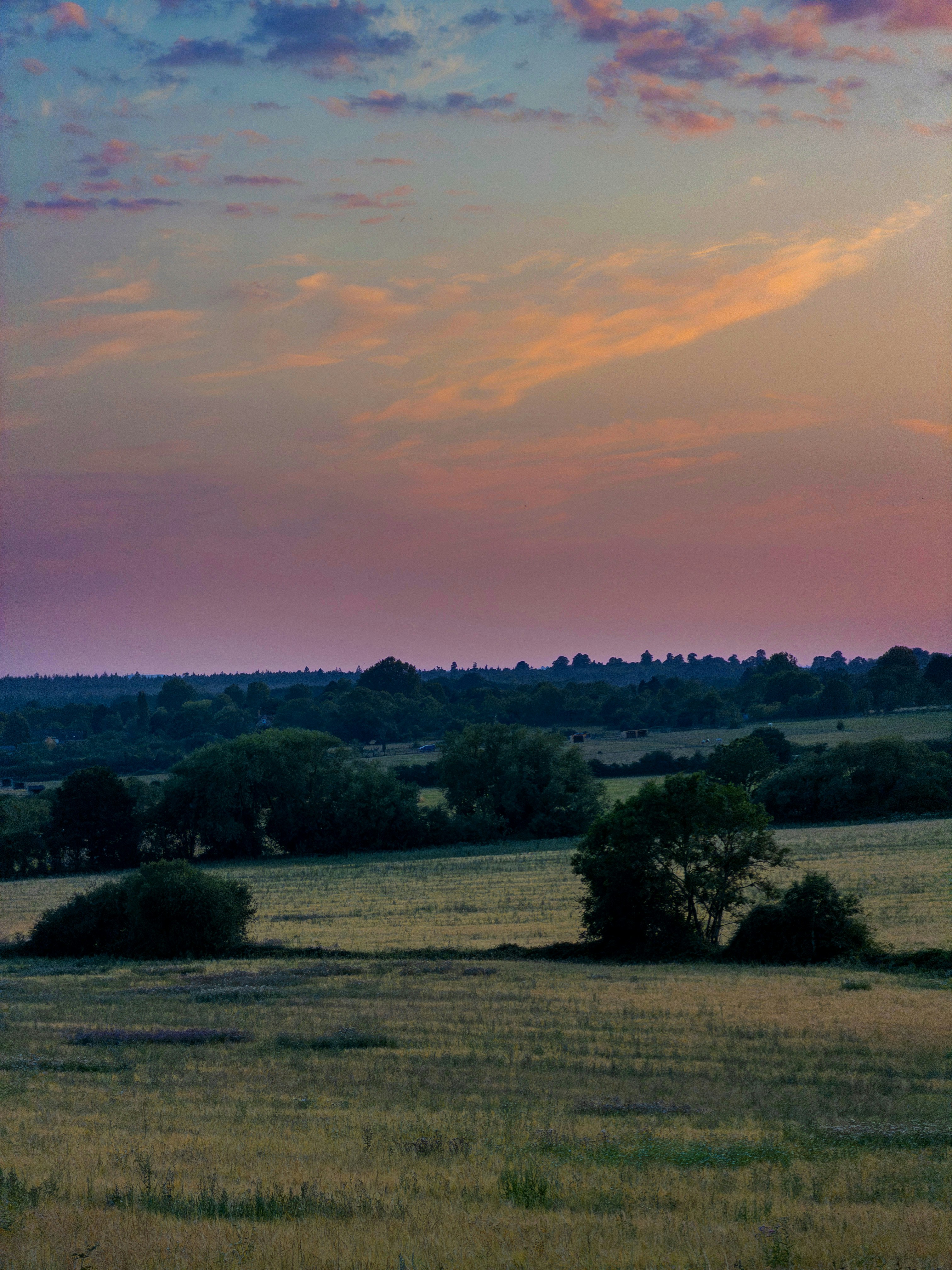 Wide evening landscape with rolling fields and silhouettes of trees under a pastel sunset sky. A serene rural scene captured as a calm, expansive panorama.