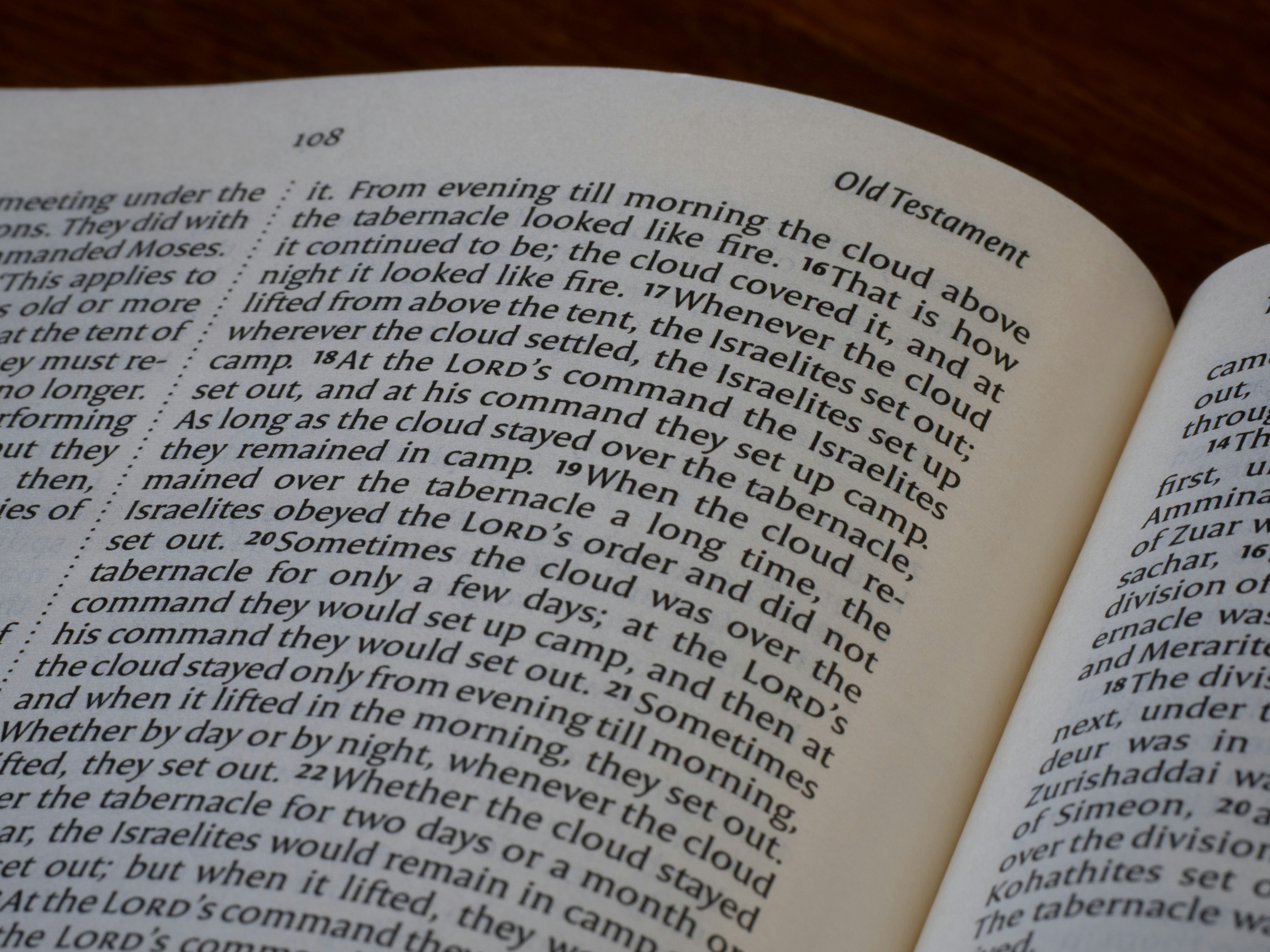 Open book with two pages, text in focus and a gentle page curl creating a curved shadow; the scene highlights printed typography and soft bookish texture.