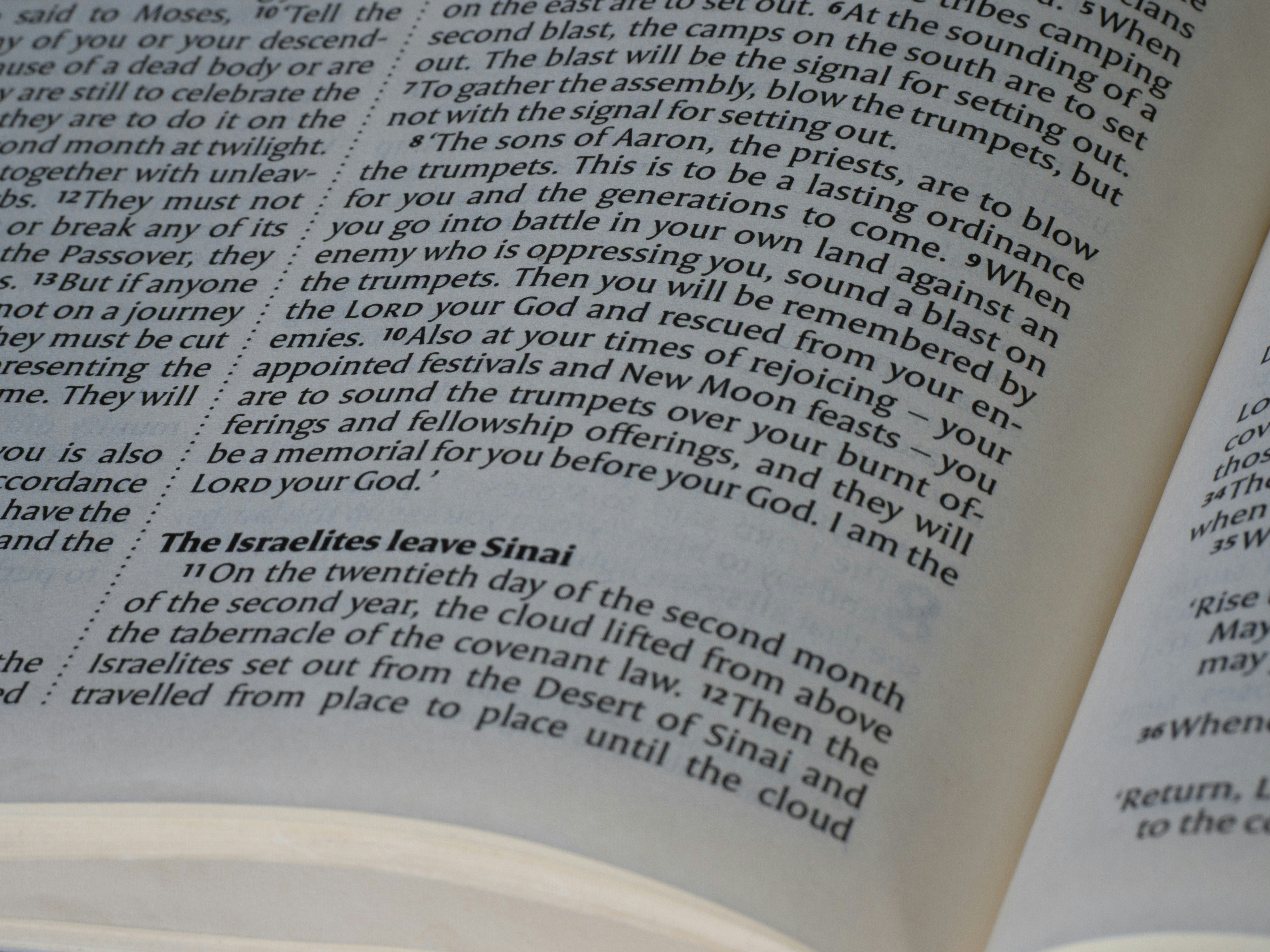 Close-up view of a printed page with a soft focus, capturing the subtle texture of text and the gentle curvature of the page edge.