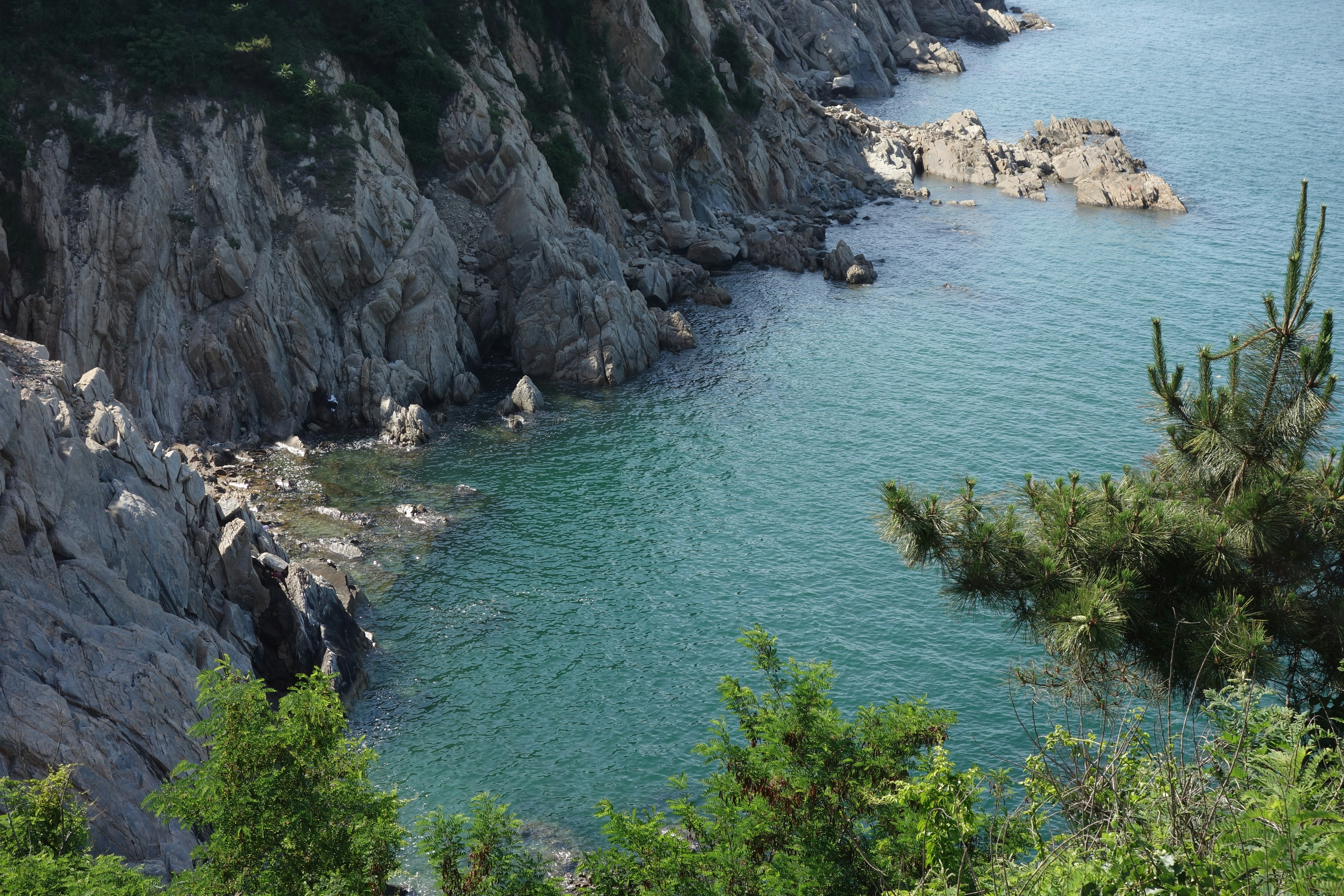 Sea Cliff Nook: Clear turquoise water against rugged rock and pine