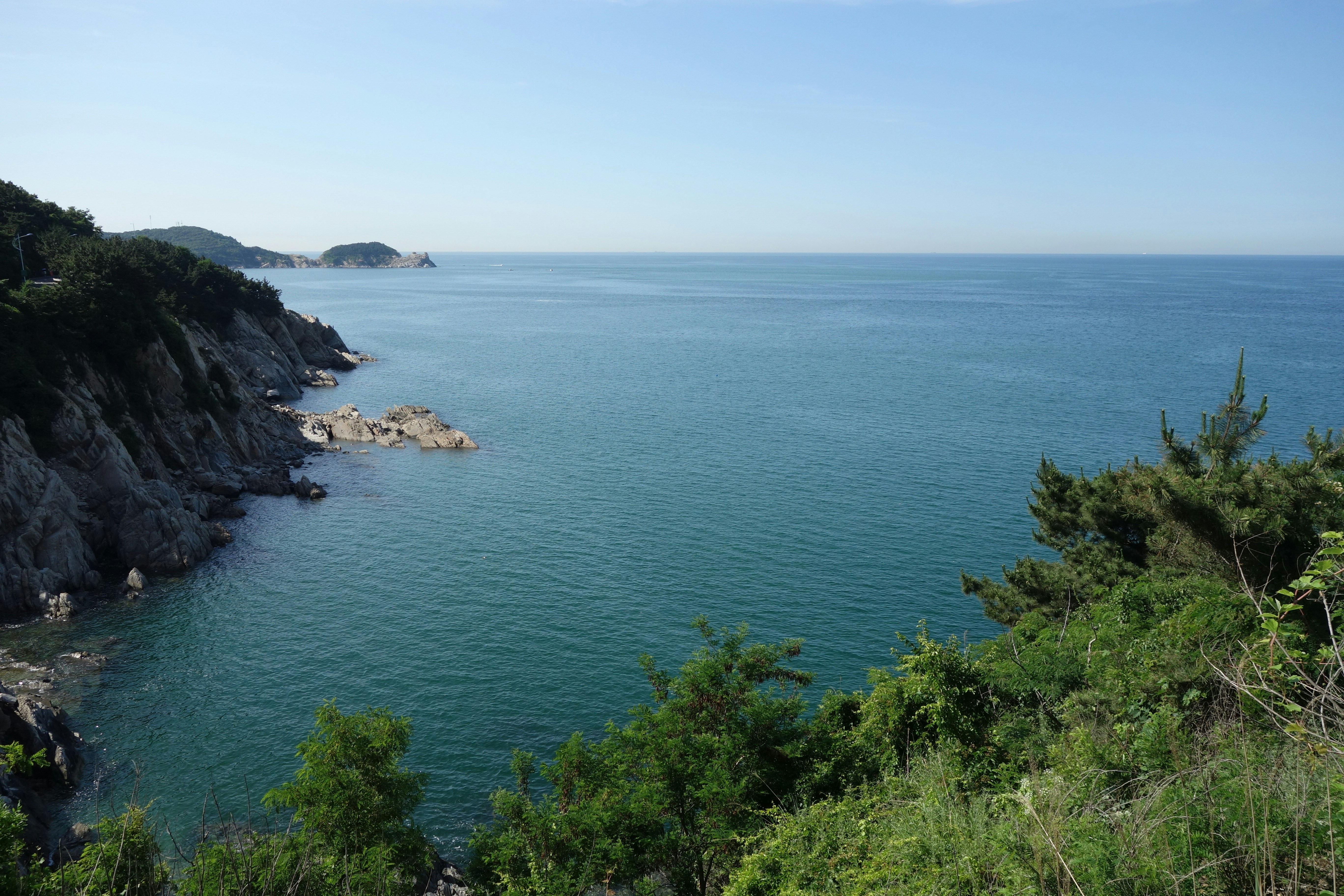 Cliffside Vista: Azure Sea Meets Verdant Foreground