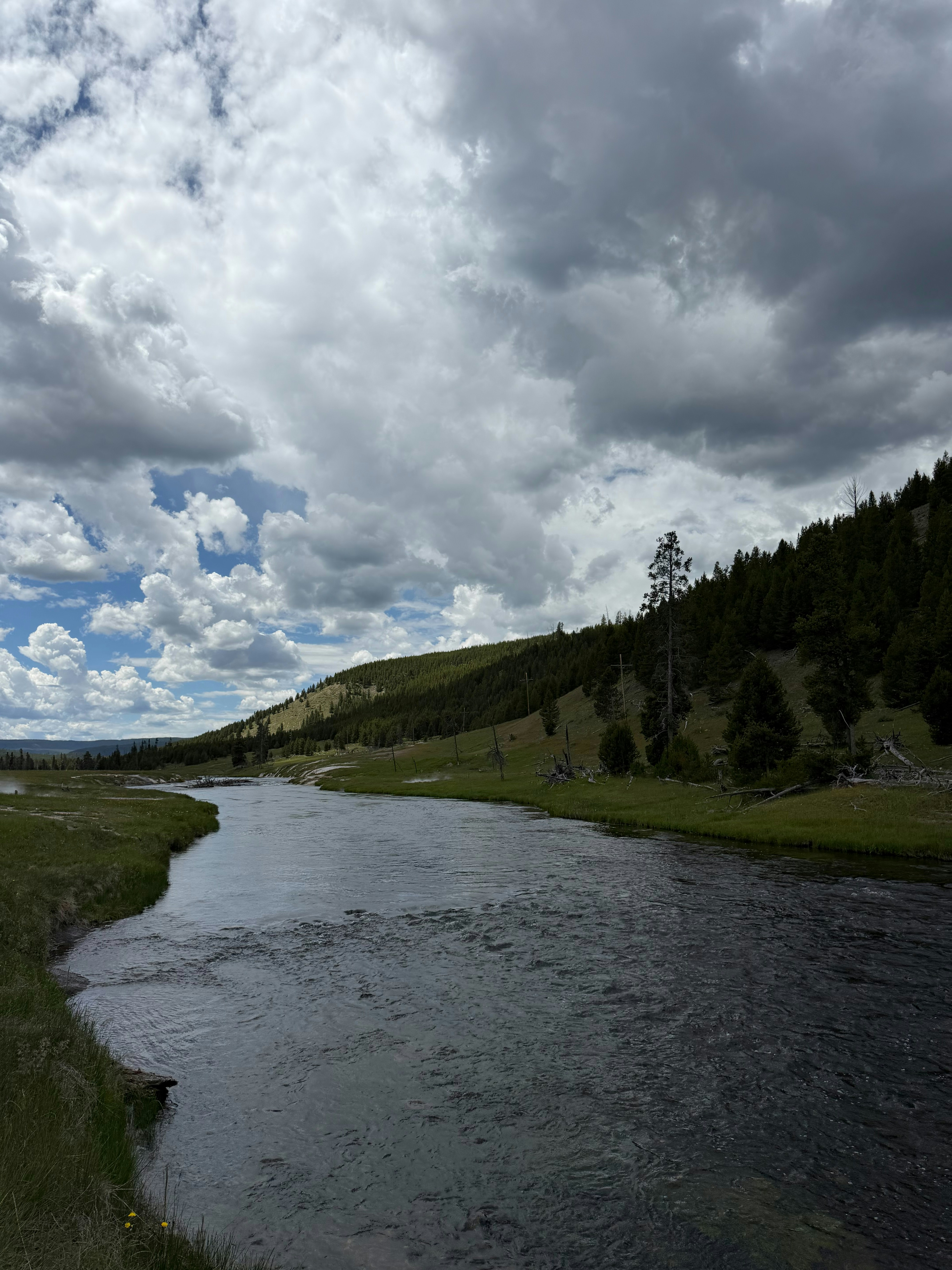 A winding river cuts through a grassy valley with a hillside forest, under a dramatic, cloud-filled sky.