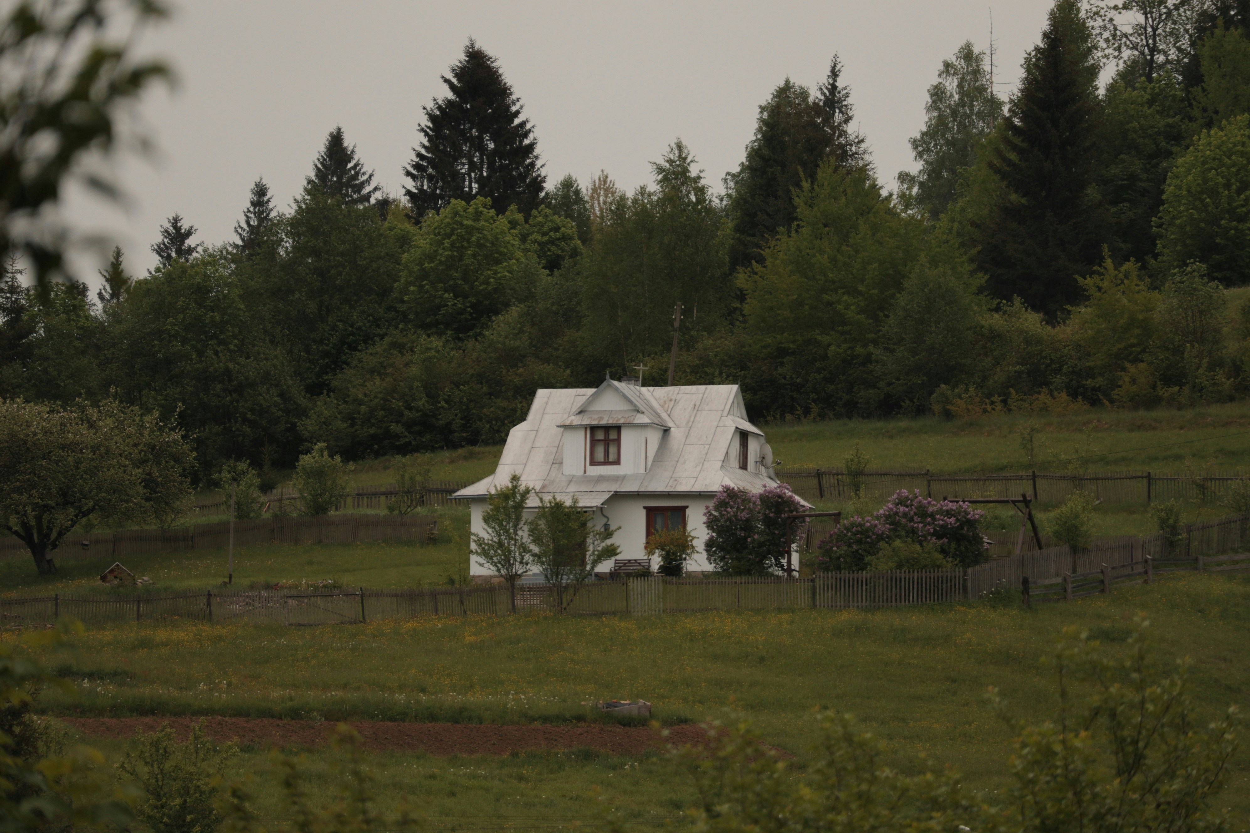 The White Cottage Amid a Slumbering Orchard