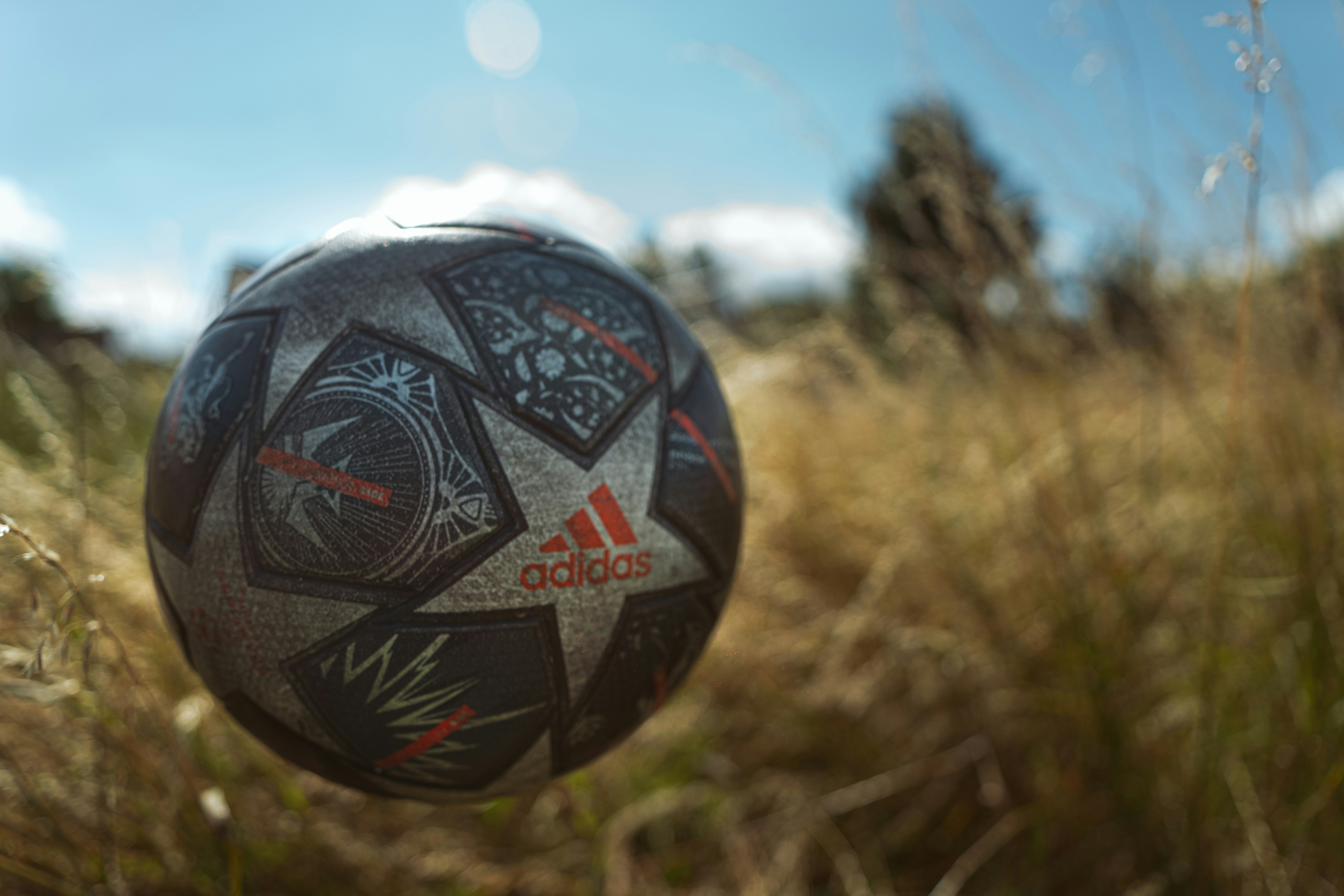 Close-Up of an Adidas Soccer Ball in a Field of Dry Grass