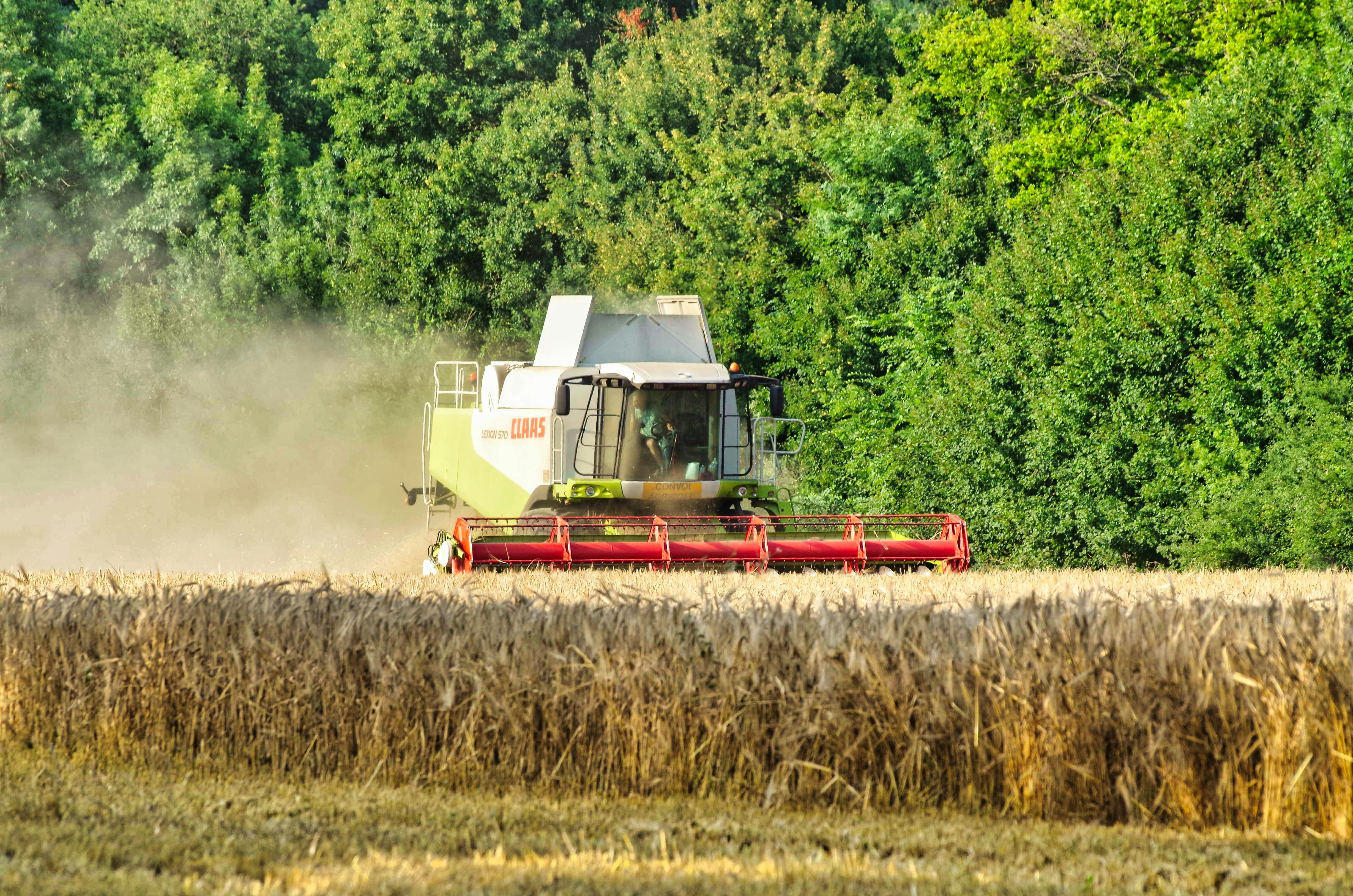 Harvesting in Motion: Dust and Grain Along the Field
