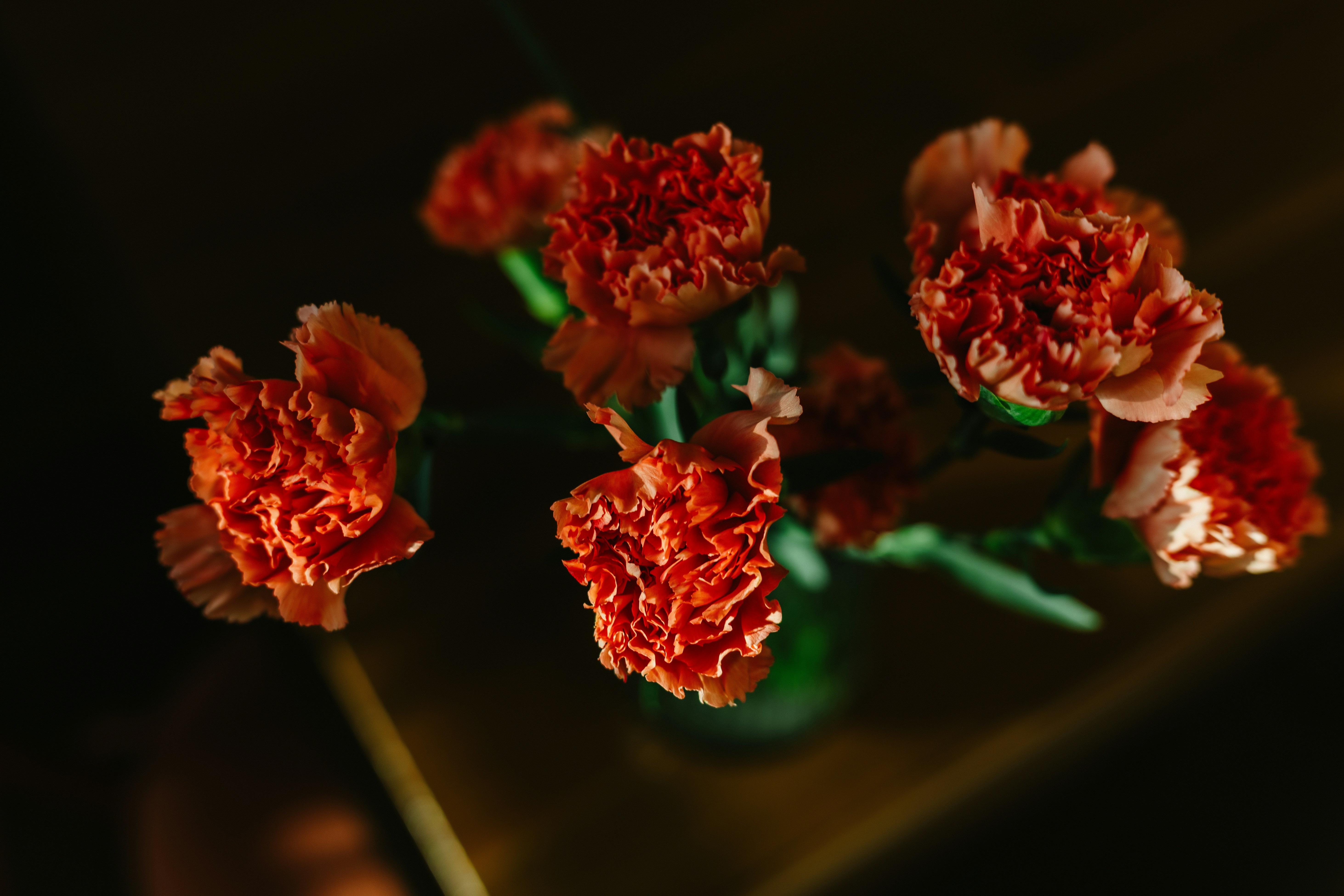 Crimson carnations arranged against a dark background with subtle green stems, softly lit to emphasize petal texture and depth.