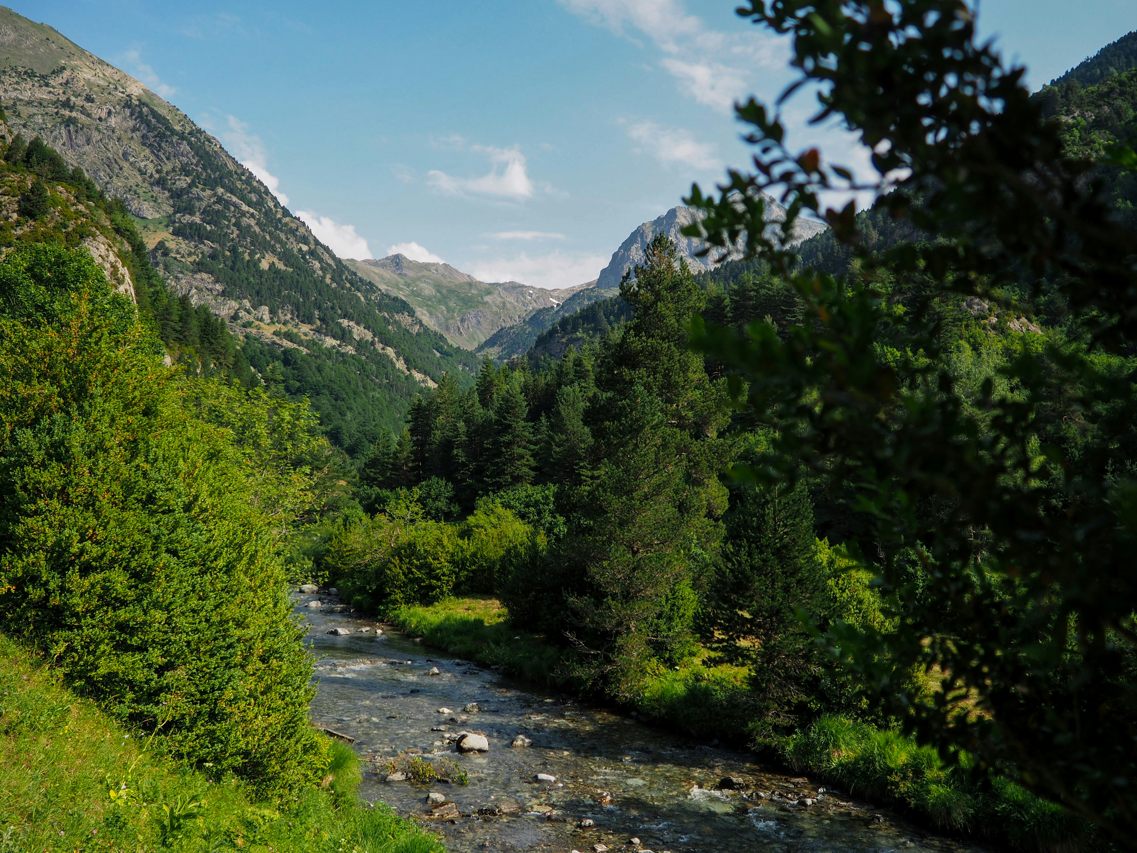 River Run Through Alpine Corridor