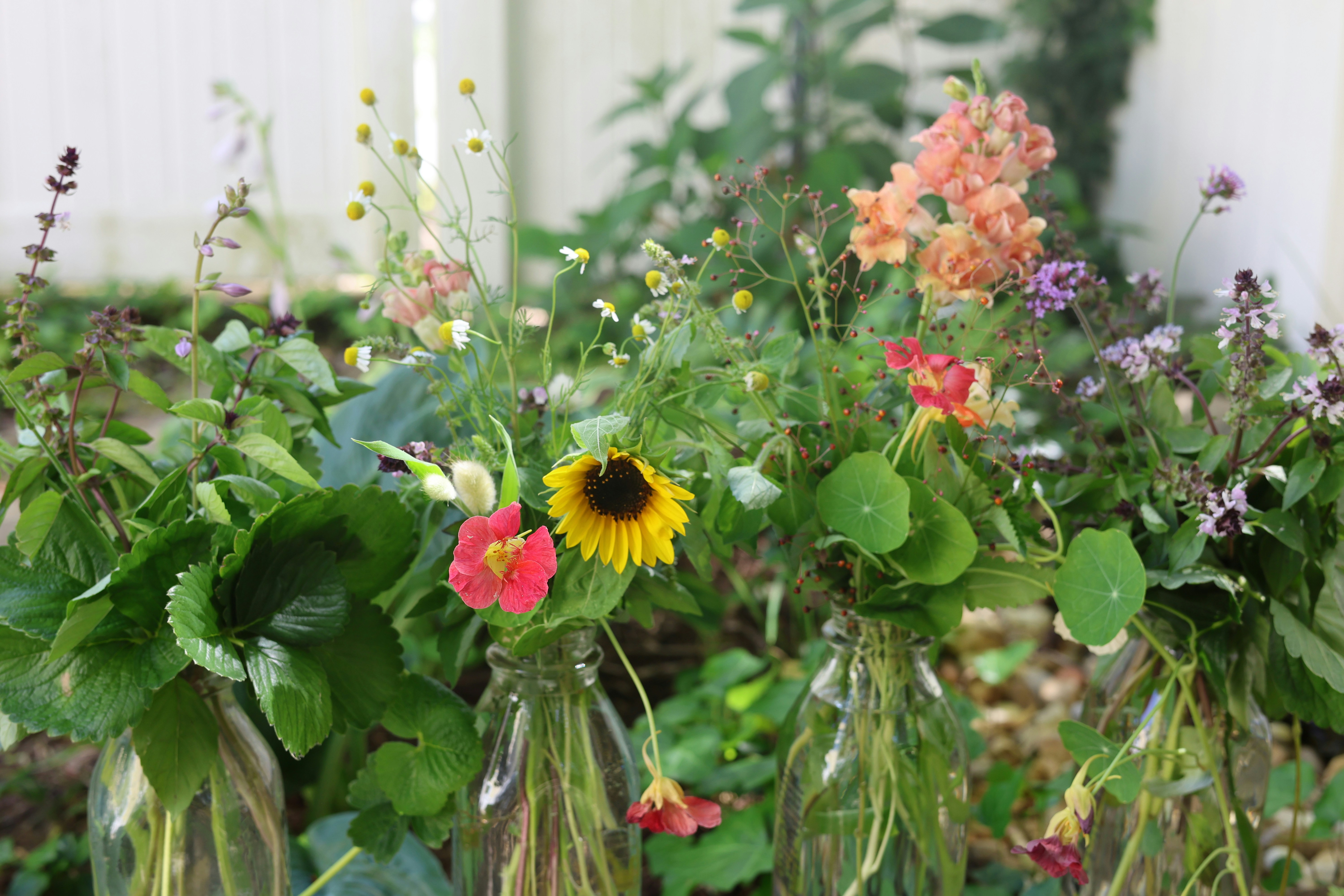 Sunlit Vase of Wildflower Pleasures