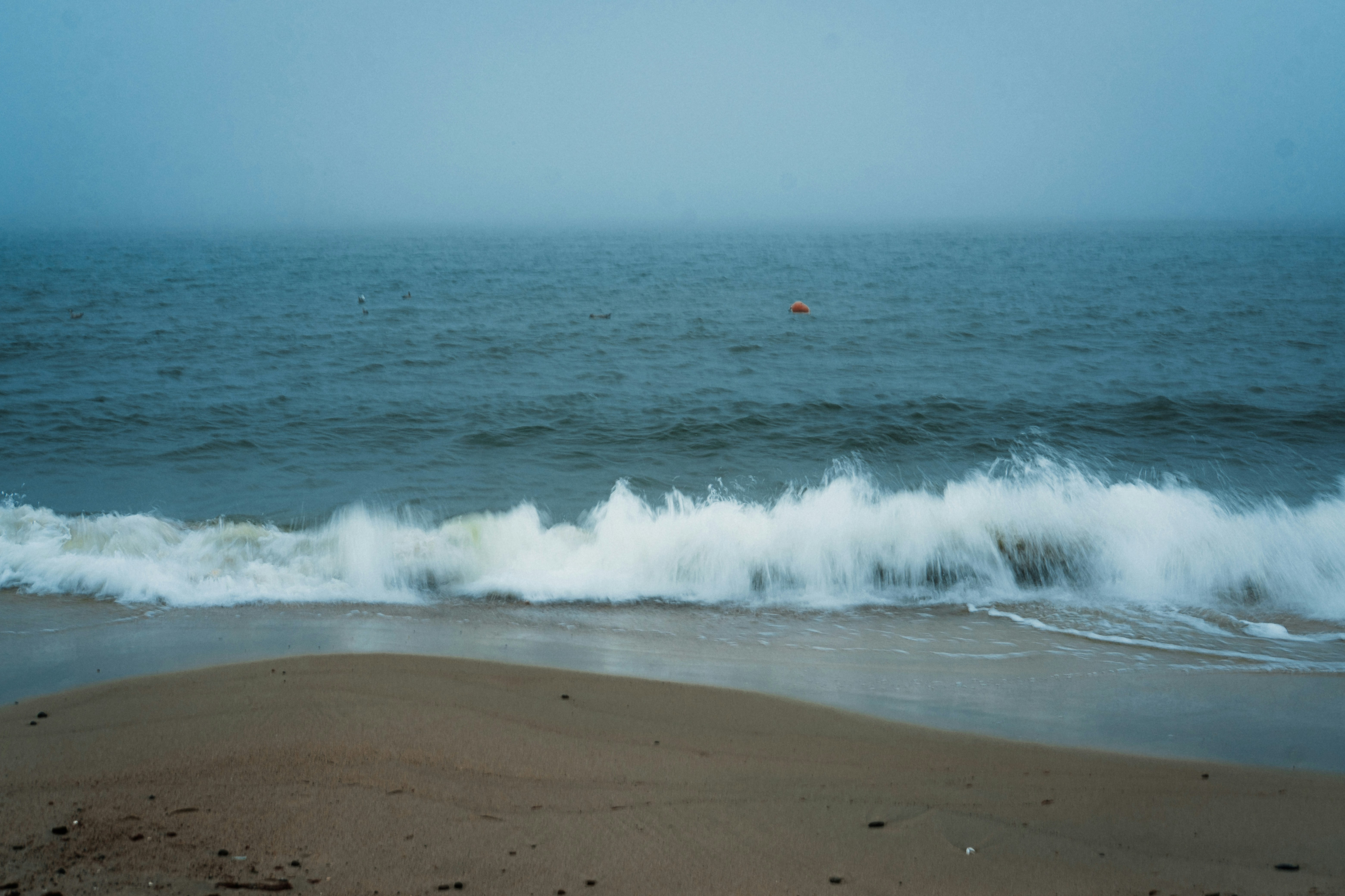 Foamy shoreline under a quiet horizon