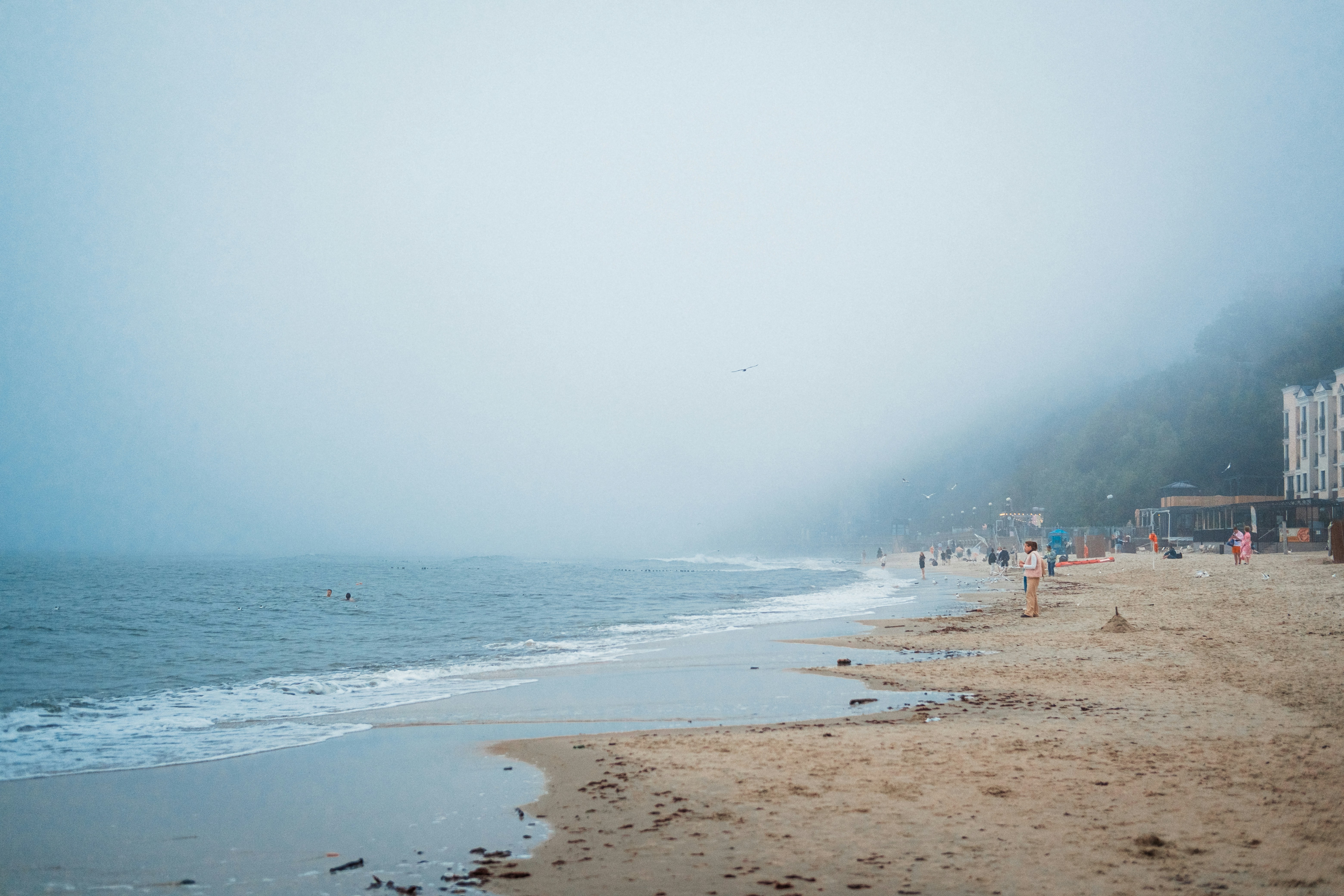 Fog over the Quiet Shore: a Coastal Walk in Distant Light