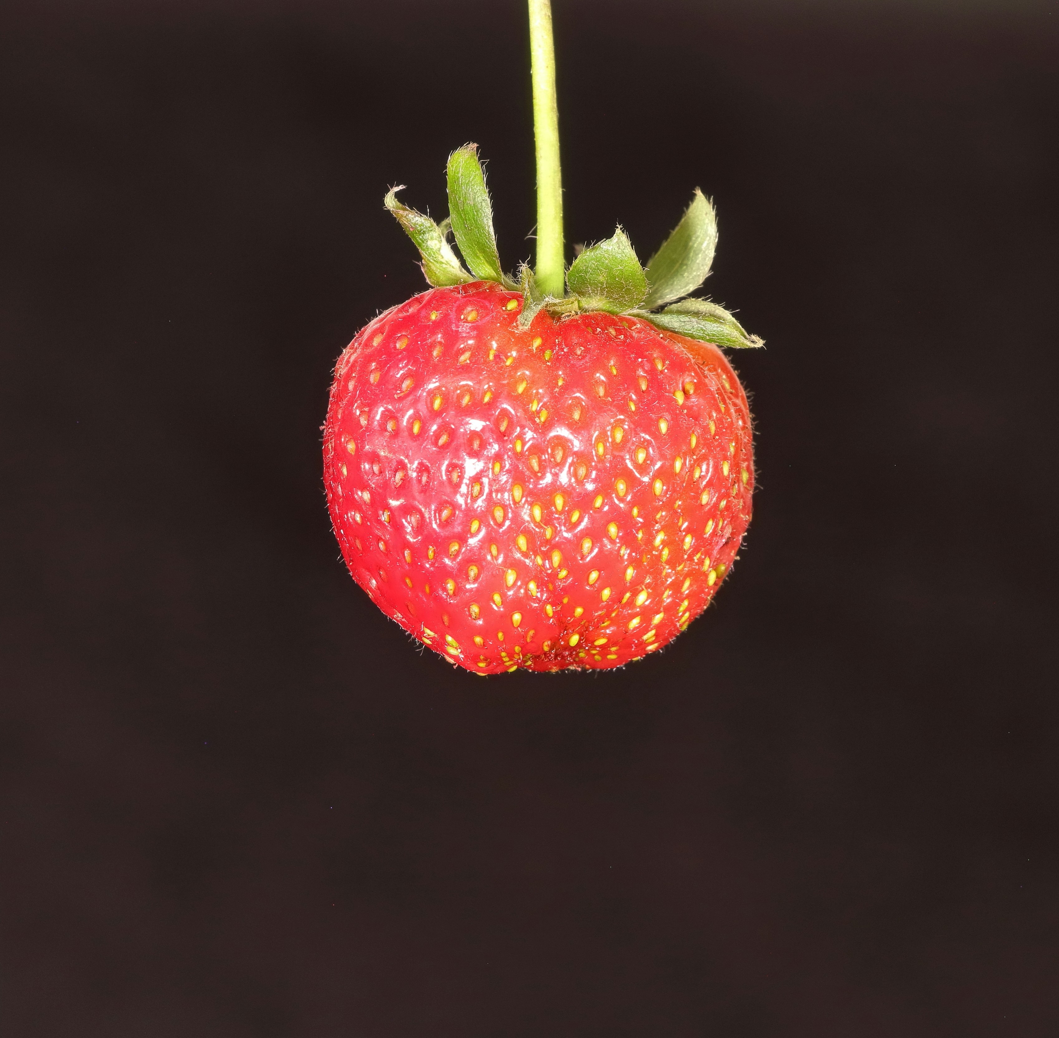 Strawberry Pendant: a crimson fruit suspended against a velvet night