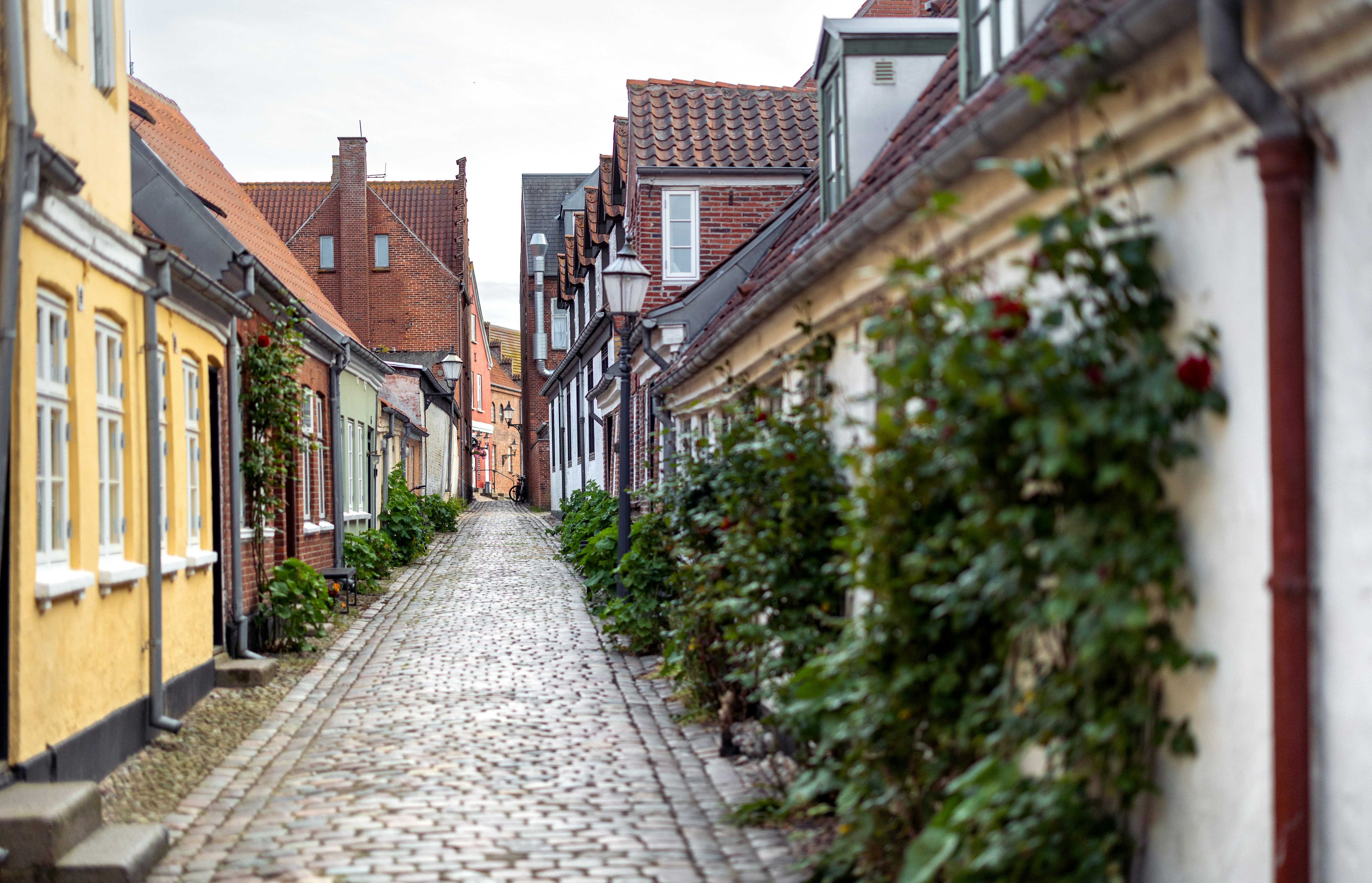 Cobbled Lane Toward the Quiet Town