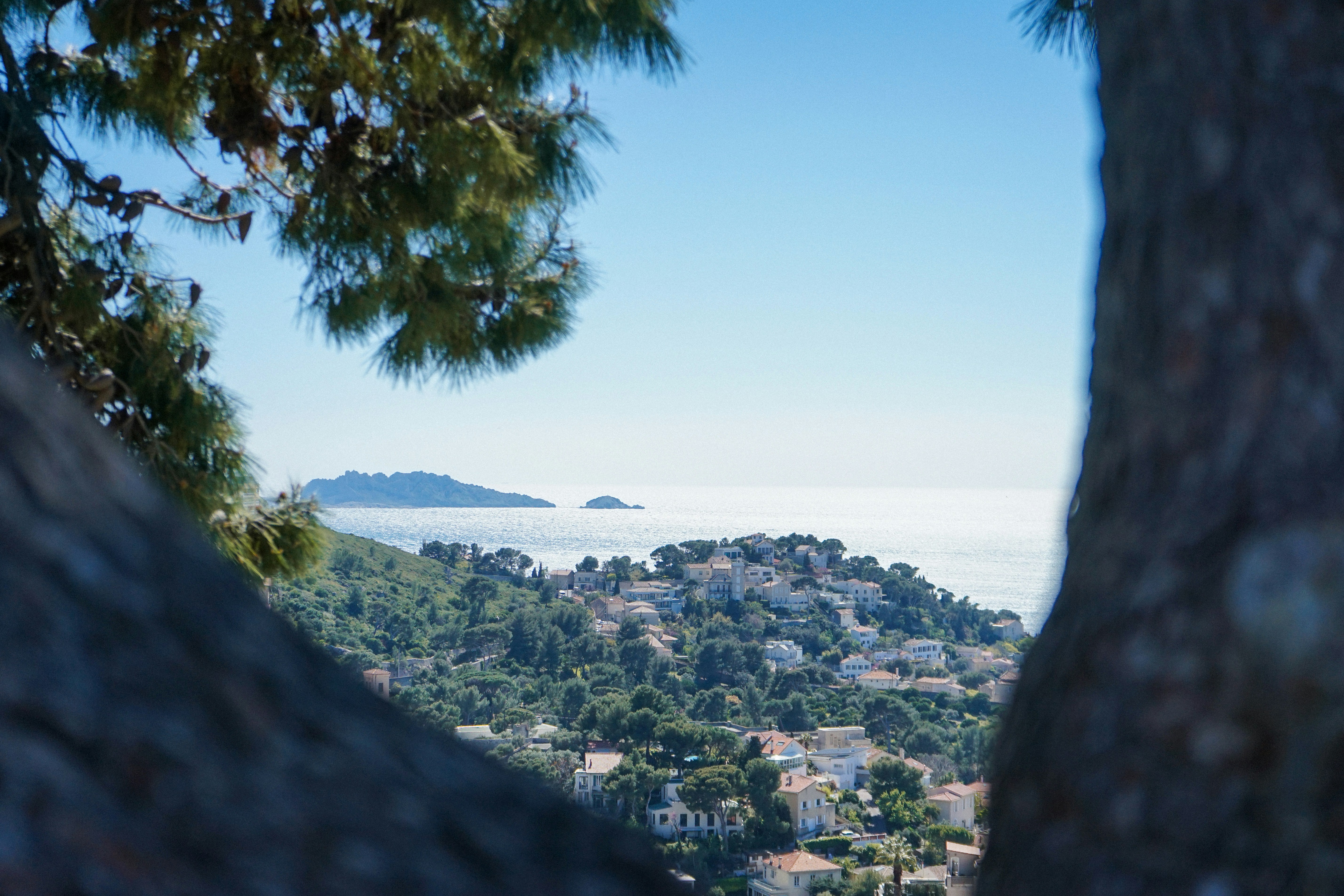 Hidden Coastal Village Framed by Coastal Pines