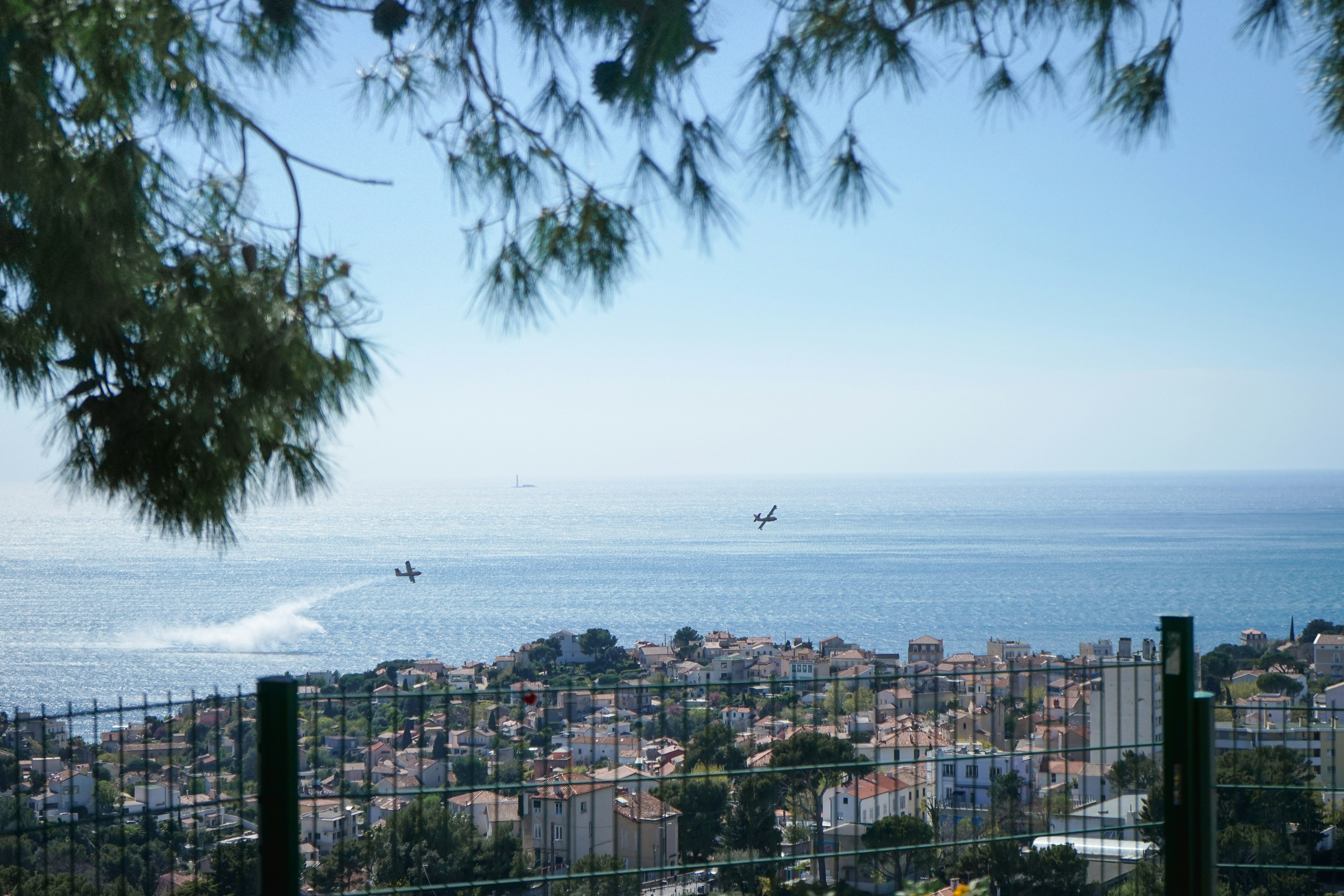 Edge of the Sea: A Coastal Terrace Framed by Overhanging Pines