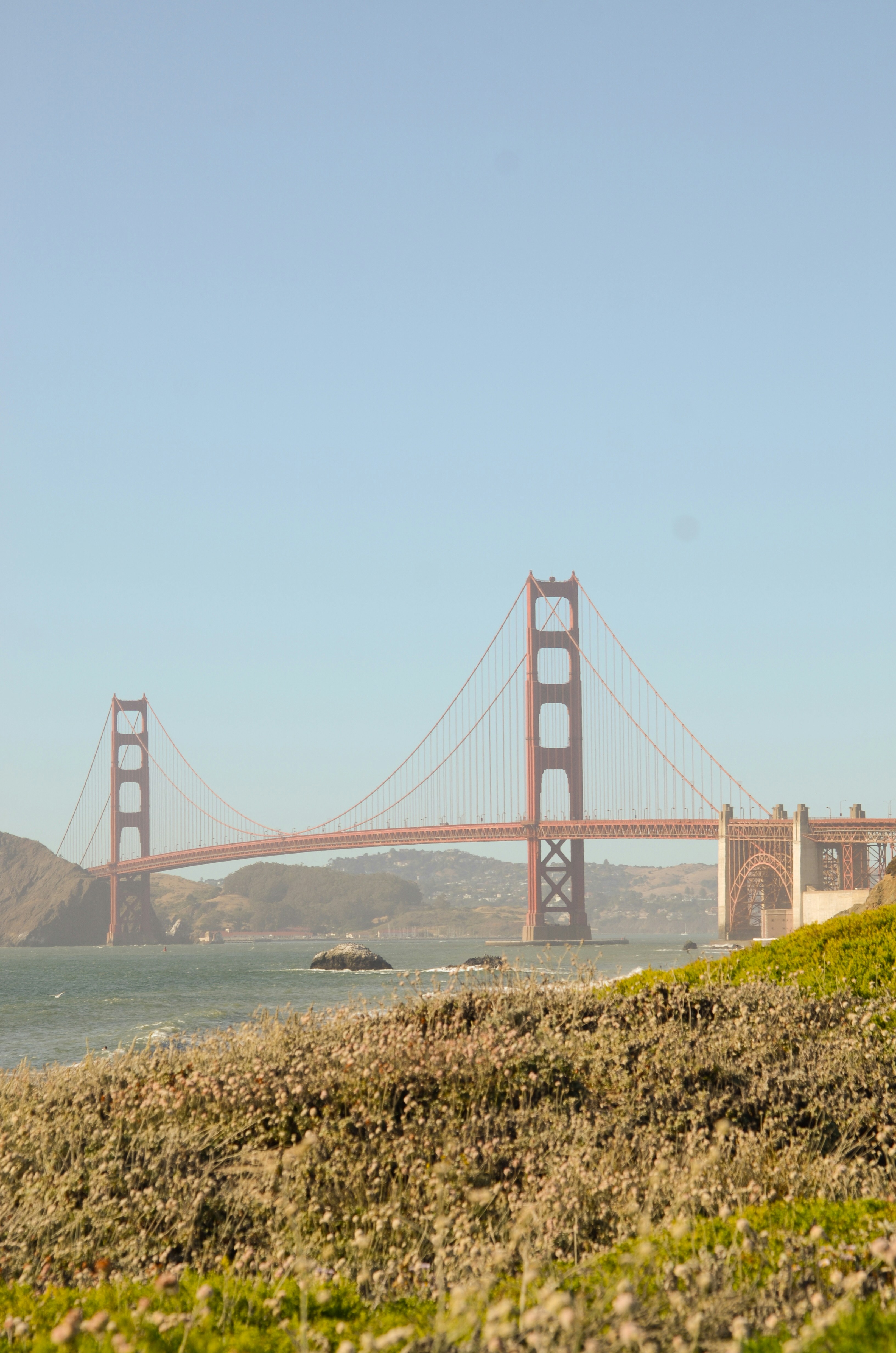 Red Span of Dawn: Golden Gate through Coastal Wildflowers