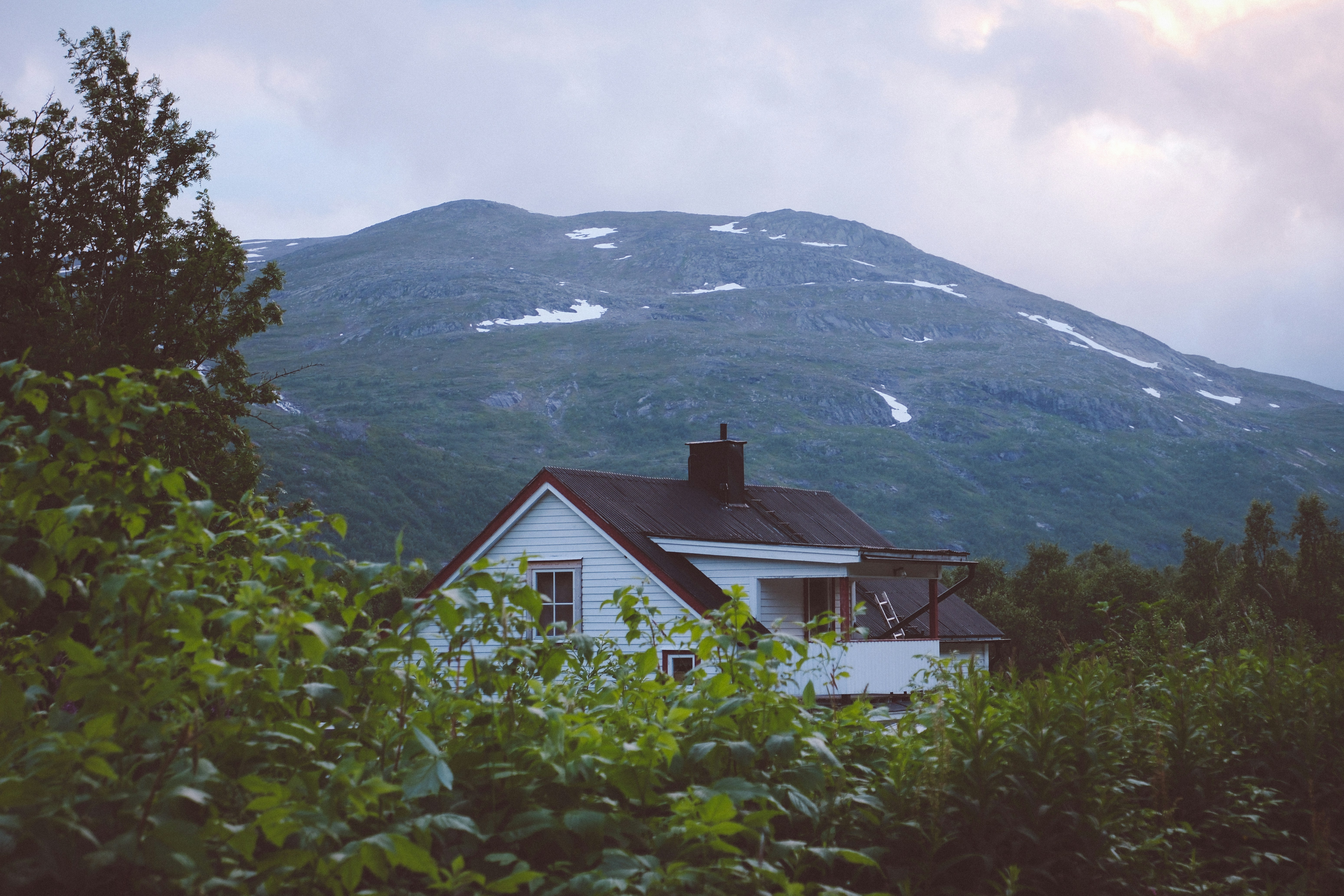 Mountain Chalet Amid Lush Greenery